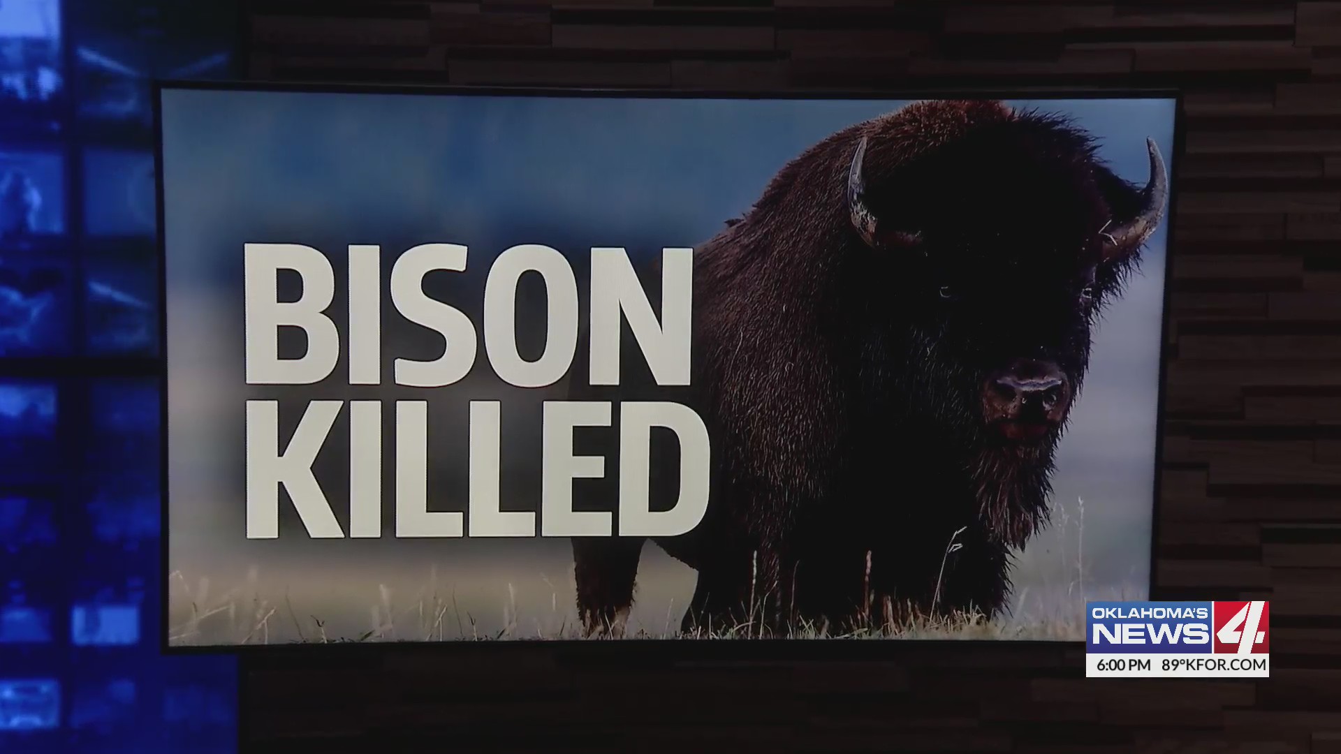 Land owners horrified by refuge’s decision to shoot two bison – KFOR ...