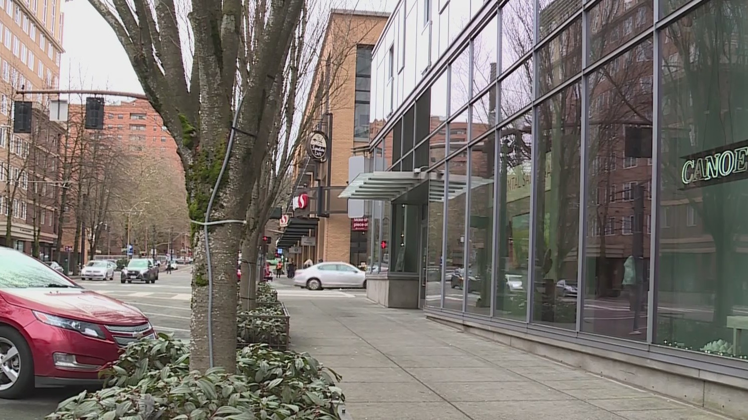 Portland’s downtown drug hub sees ‘staggering’ improvement in less than ...