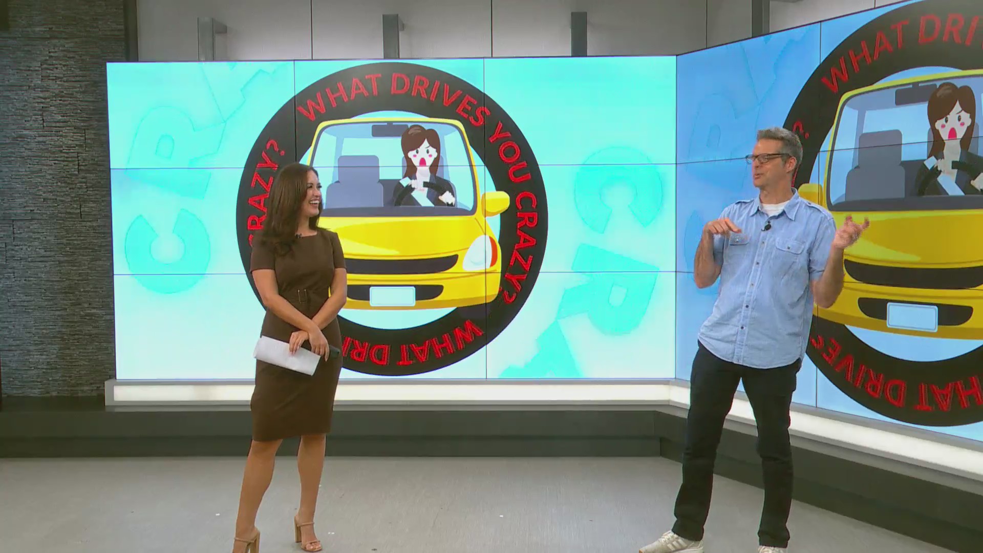 What’s Driving You Crazy?: City potholes, overcrowded animal shelters ...