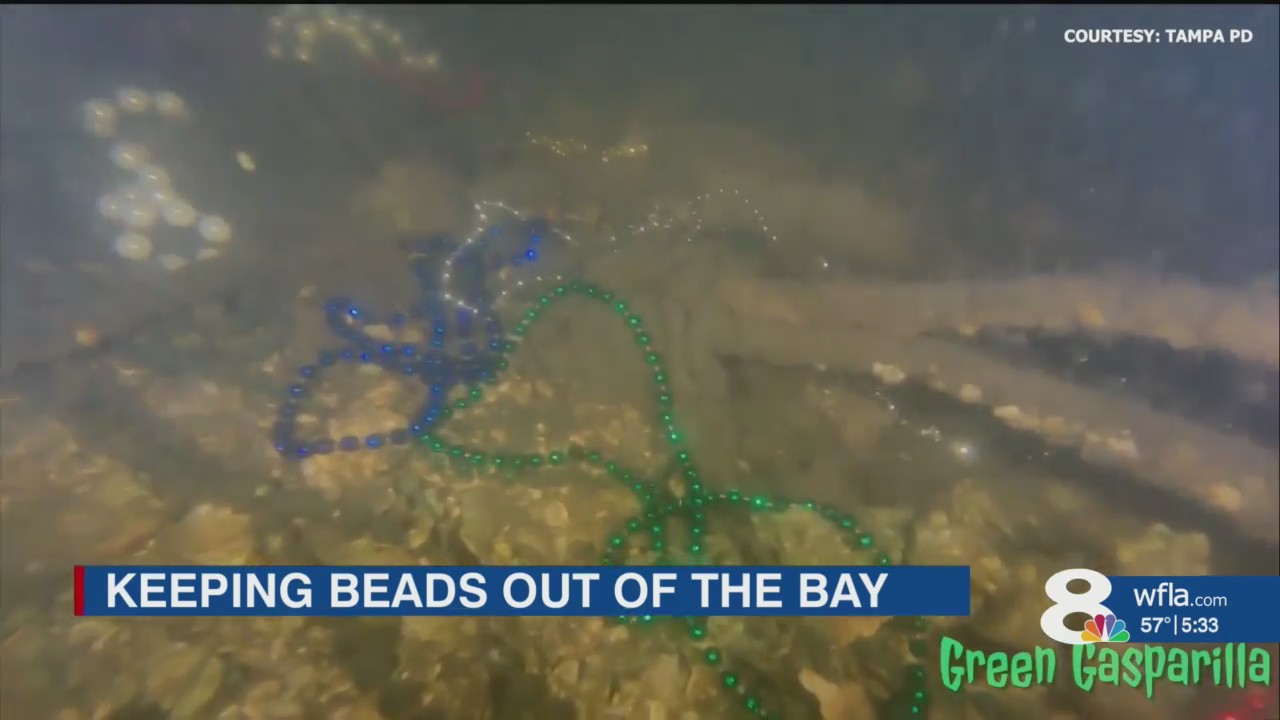 Tampa Police Dive Team keeping the Bay bead-free – WFLA