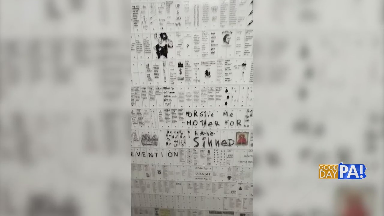 “Under the Microscope” at the 56th Art of the State Exhibit – ABC27