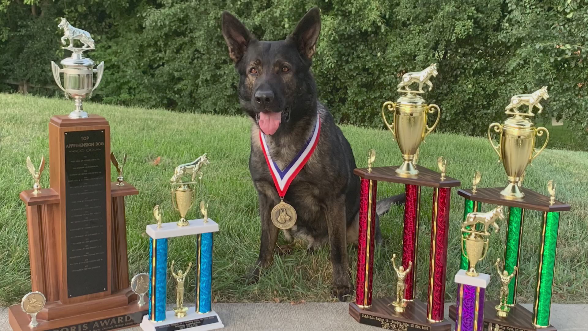 ‘It’s been a blessing’: Police K9 and handler part of more than 300 ...