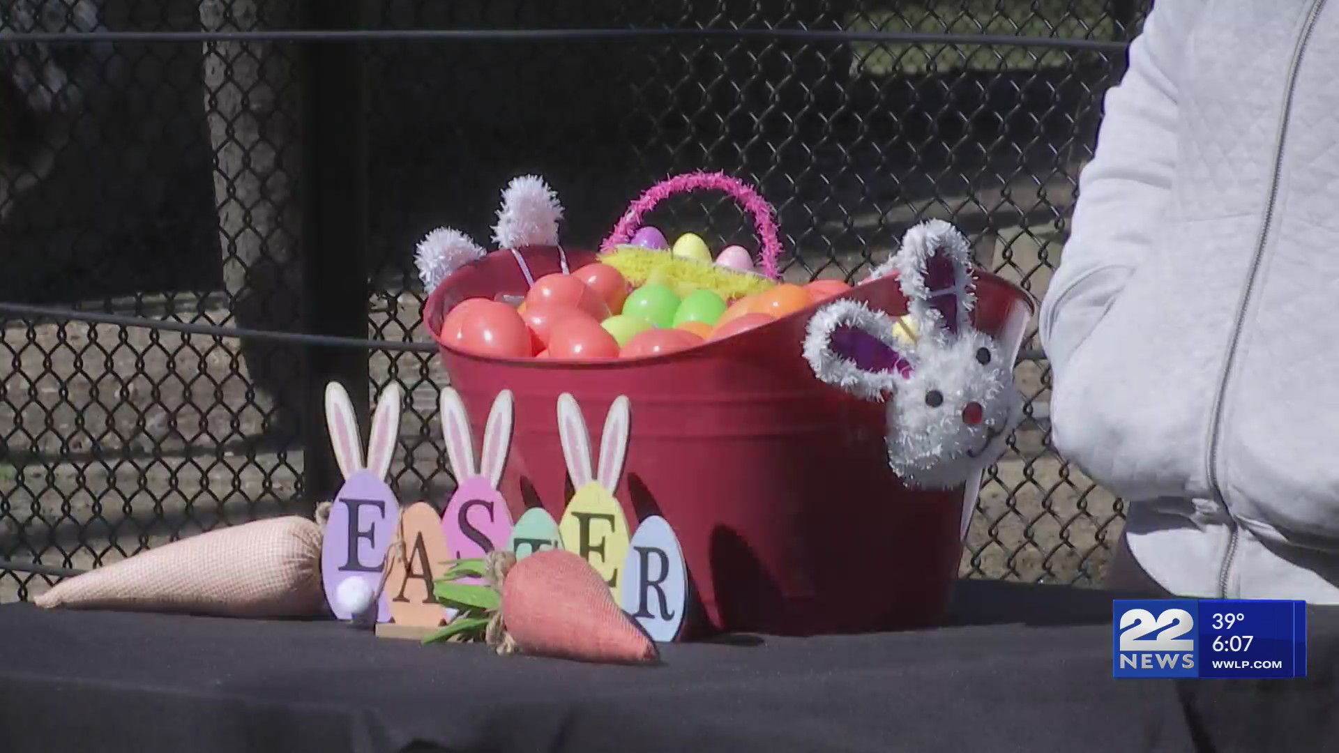 The Zoo in Forest Park hosts egg-citing Easter event – WWLP