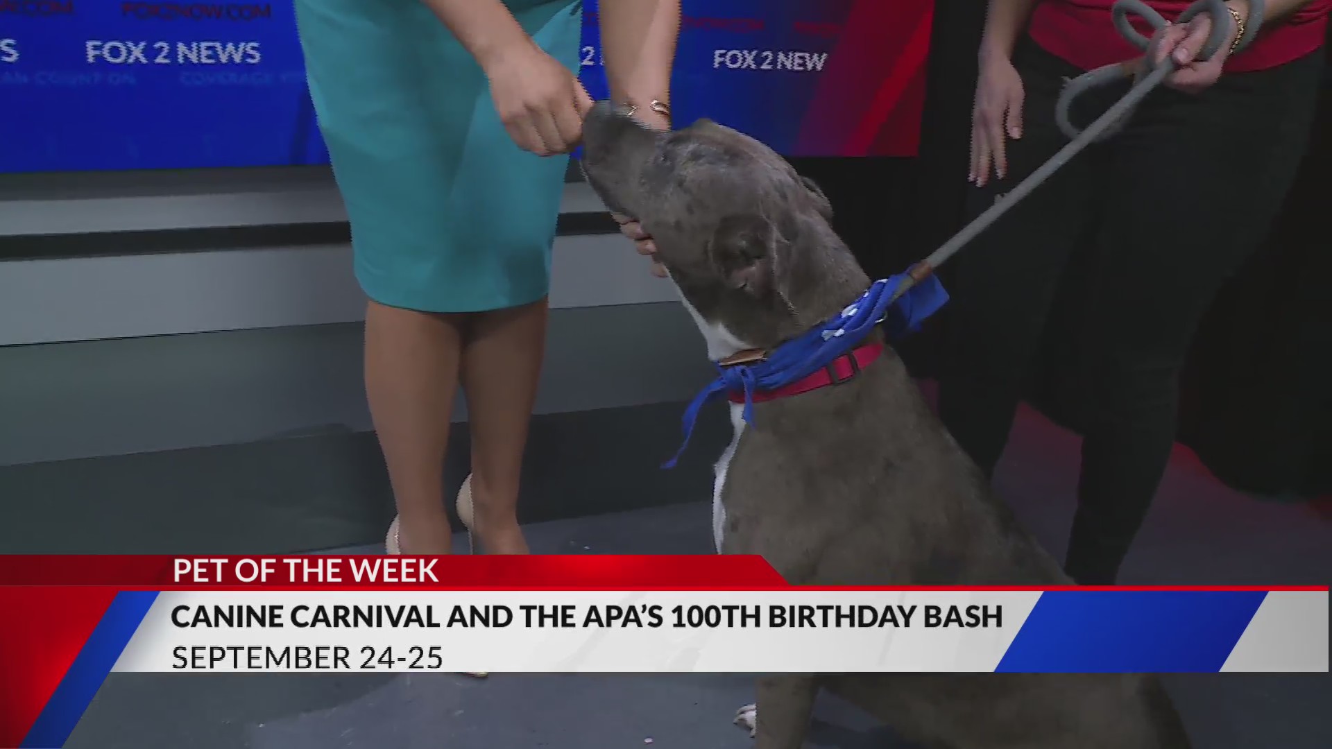 Pet of The Week: Tess – FOX 2