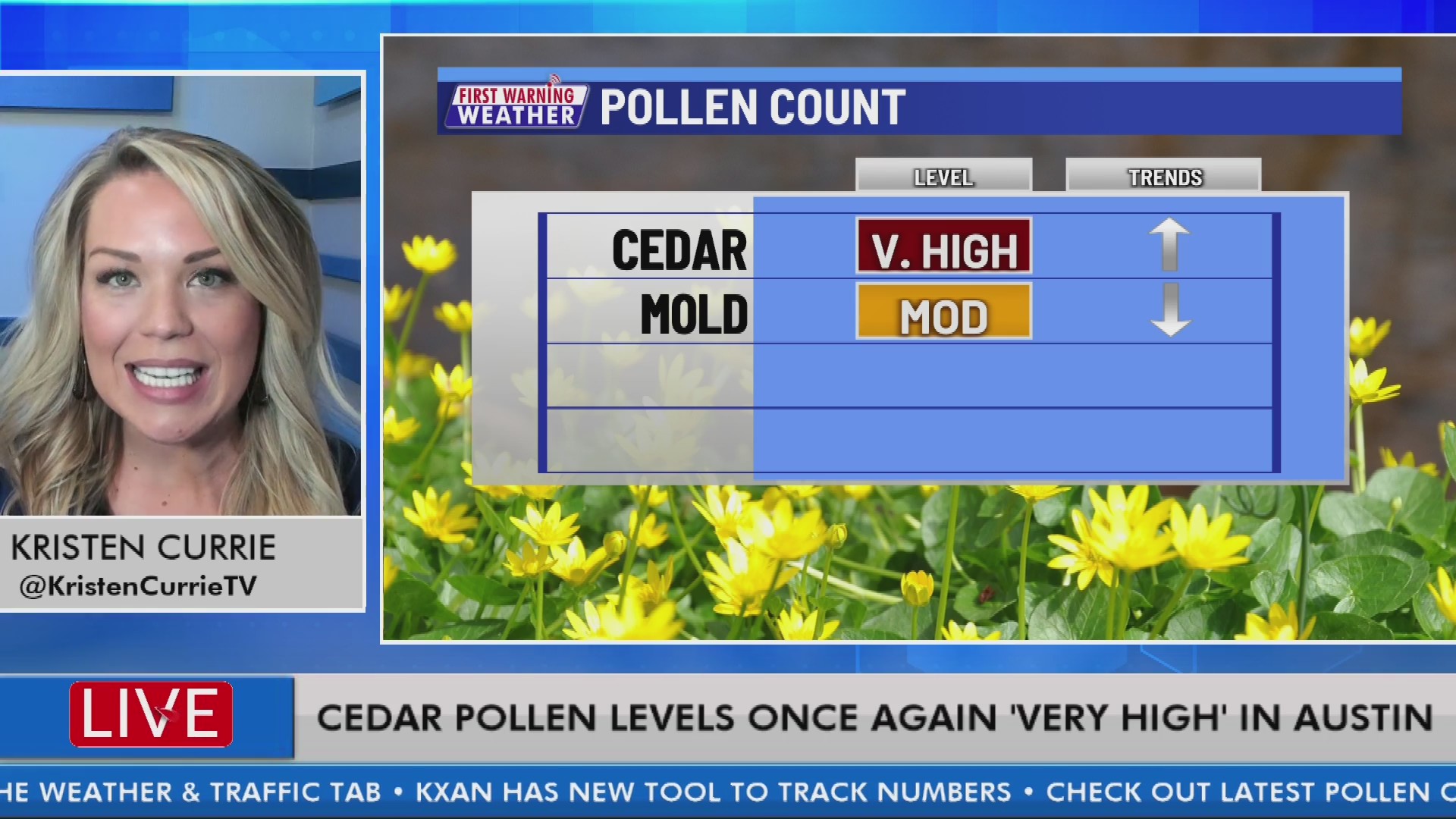 Outlook for cedar pollen levels in Austin area – KXAN Austin