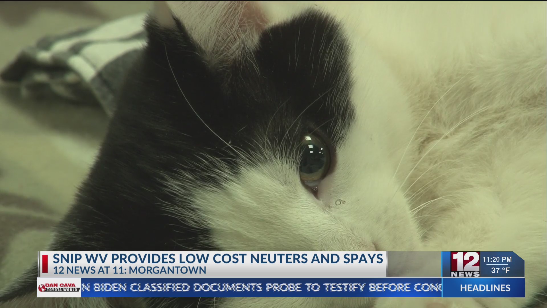 SNIP WV aims to make a difference for animals and humans alike – WBOY.com