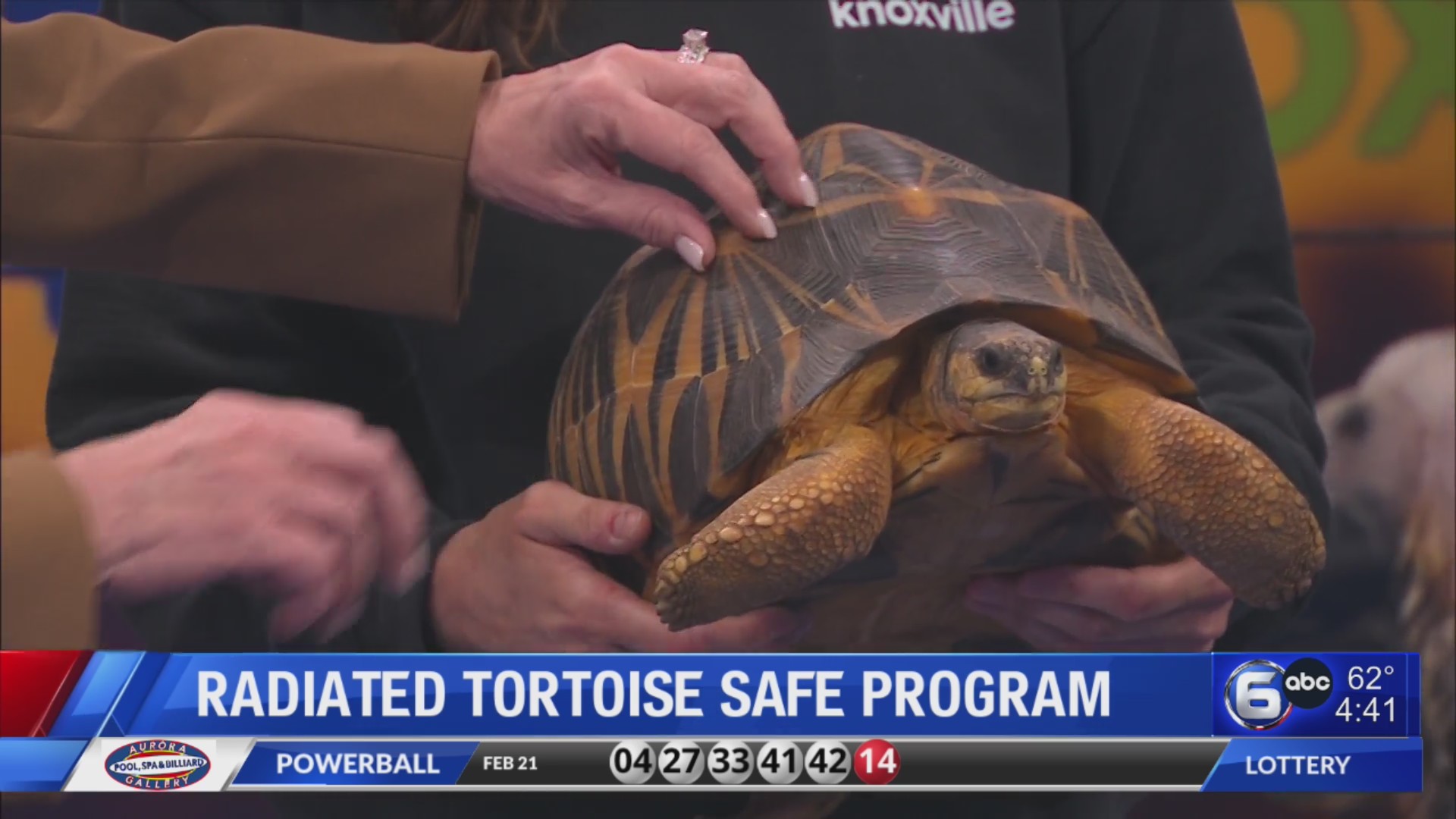 Radiated Tortoise Safe Program – WATE 6 On Your Side