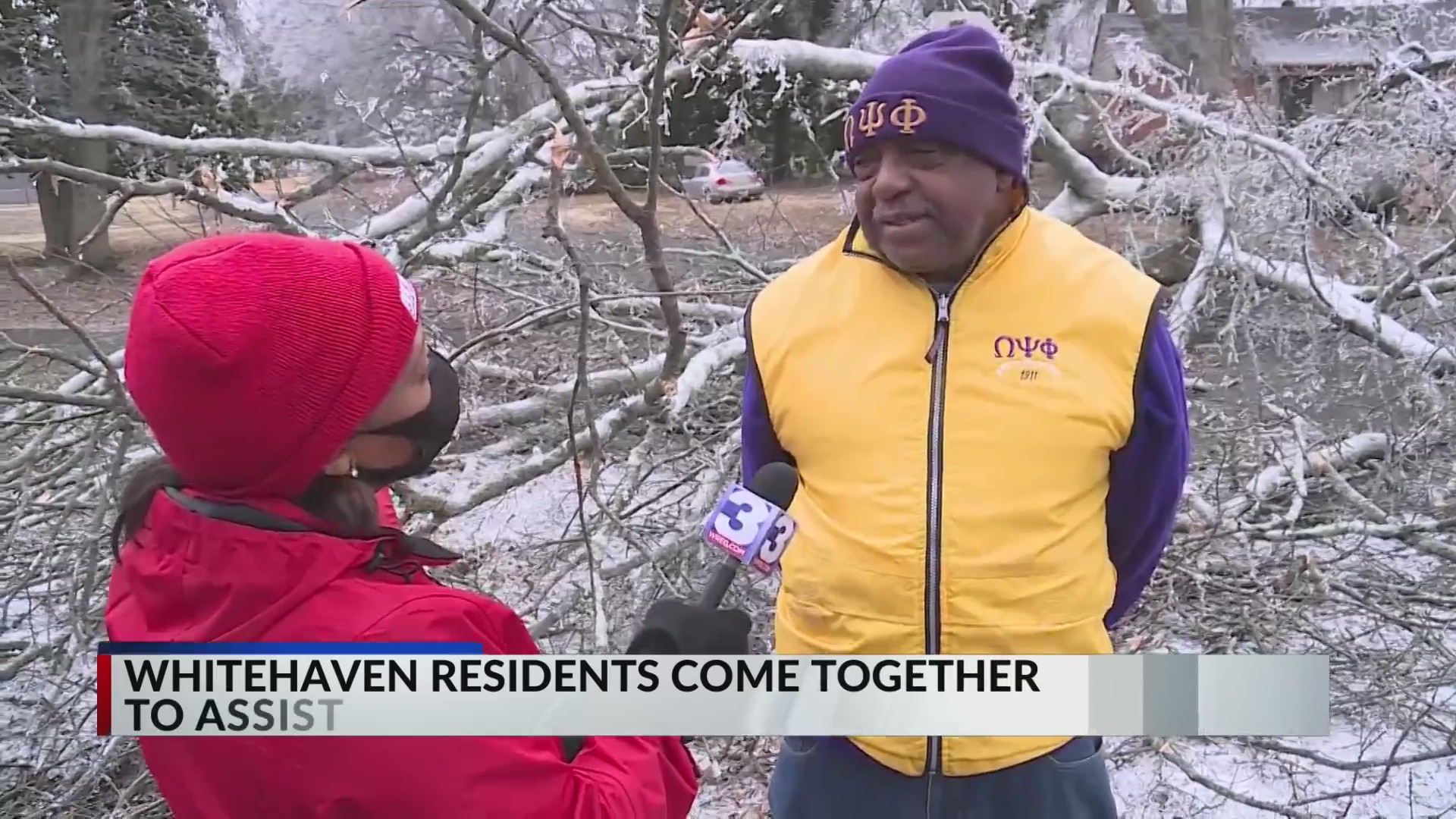 Fallen Trees in Whitehaven – WREG.com