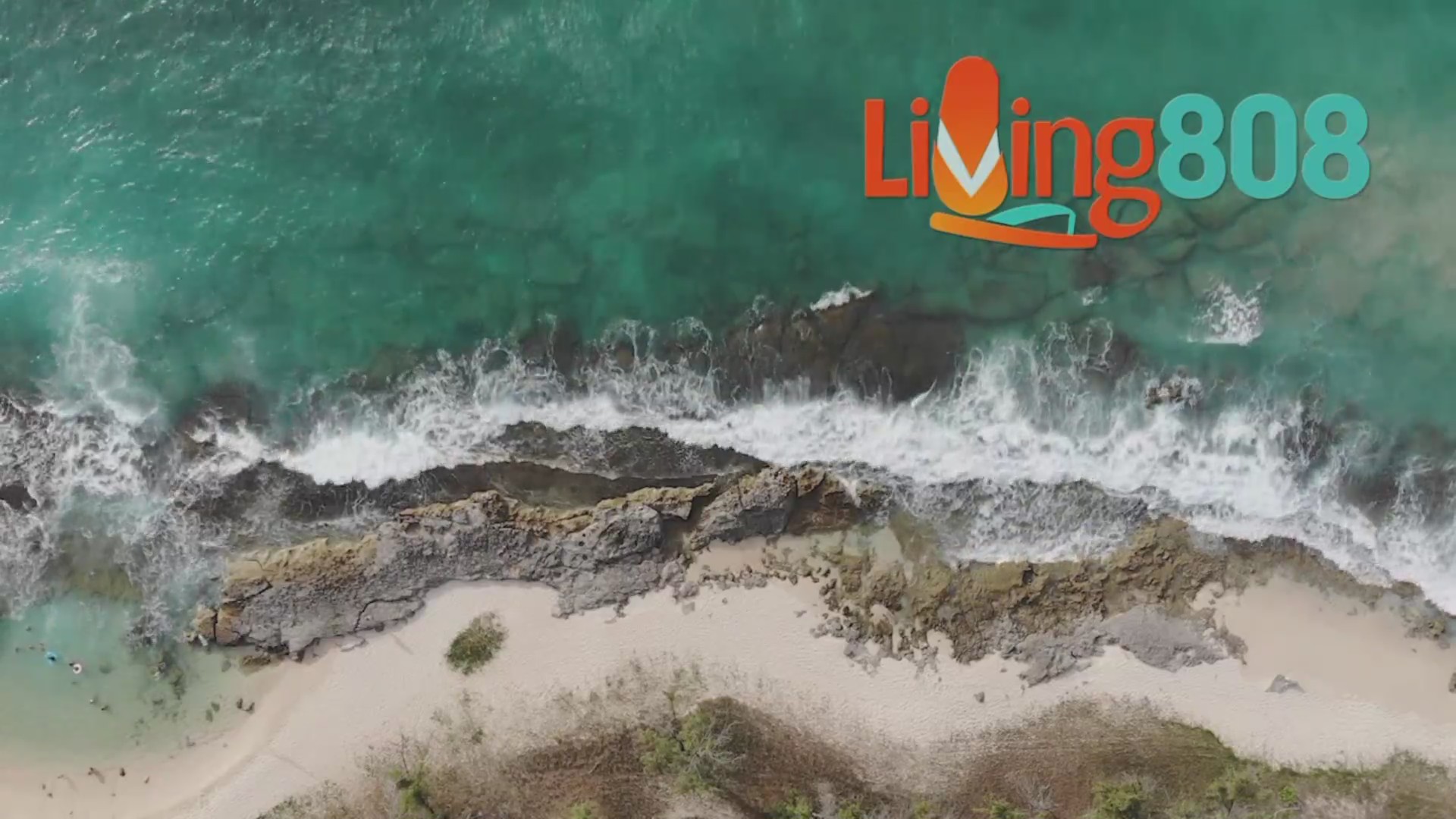 Hawaii’s Kitchen: BASALT Restaurant (1 of 2) – KHON2