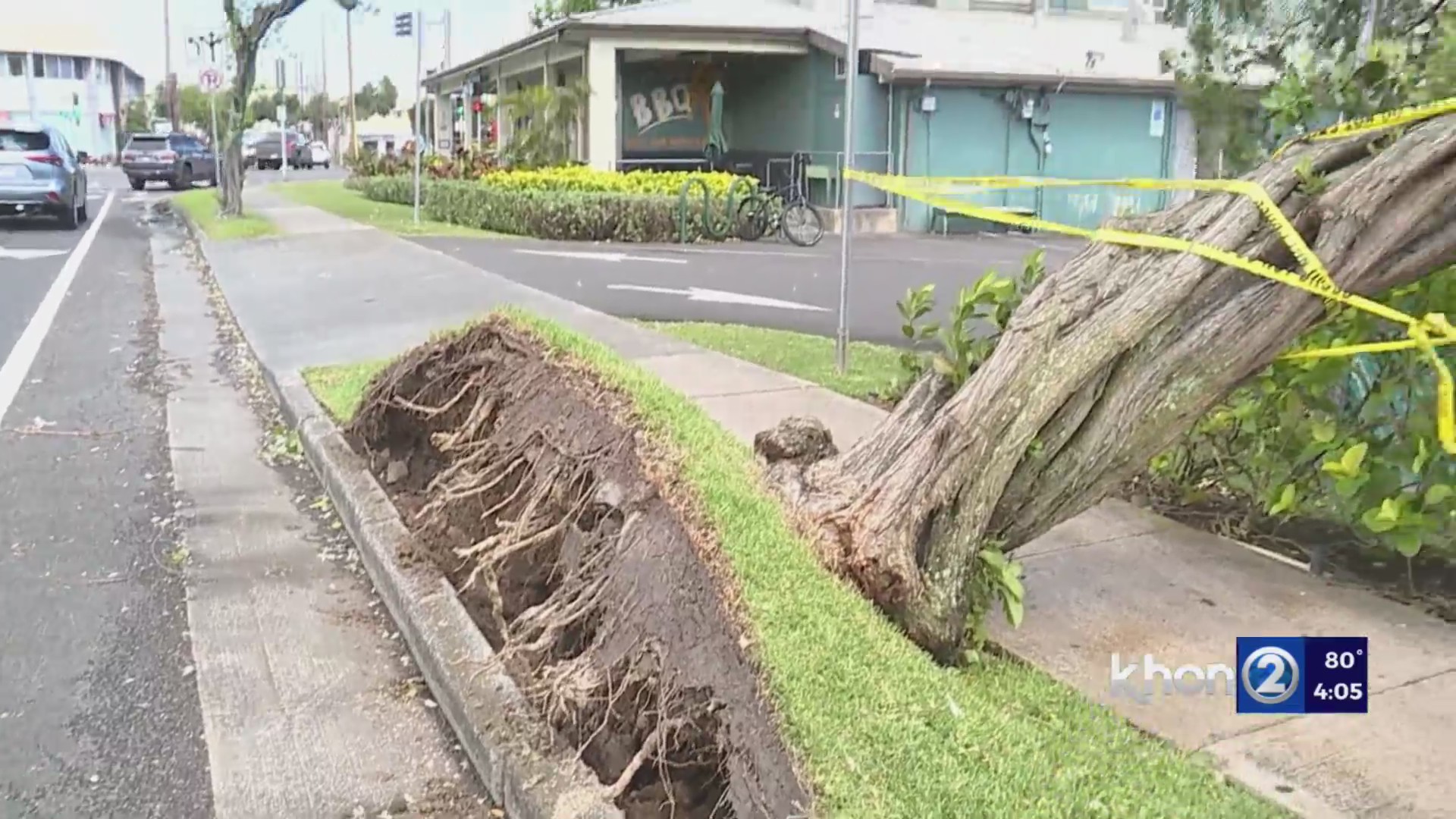 Downed trees, poles, and freeway signs as blustery conditions continue ...