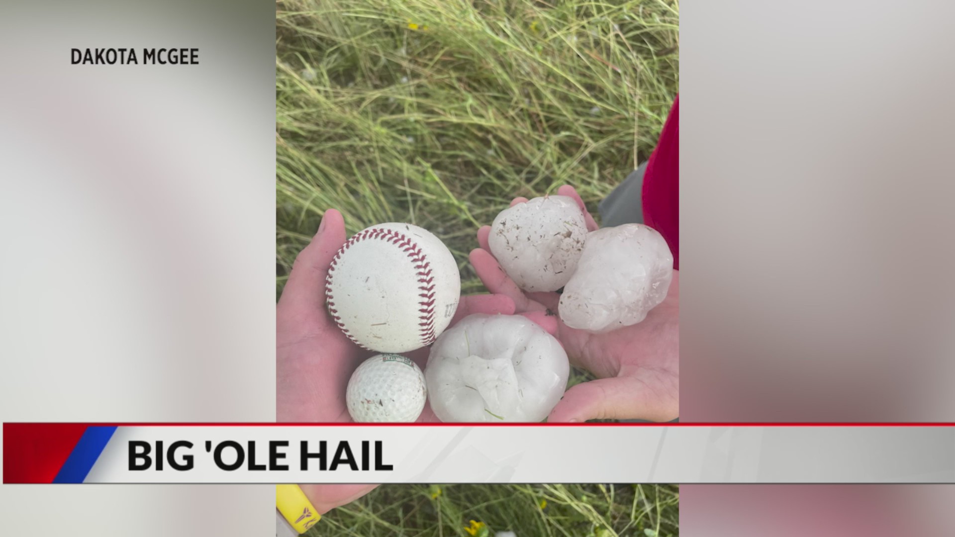 Did Colorado just record its largest hailstone ever? – FOX31 Denver