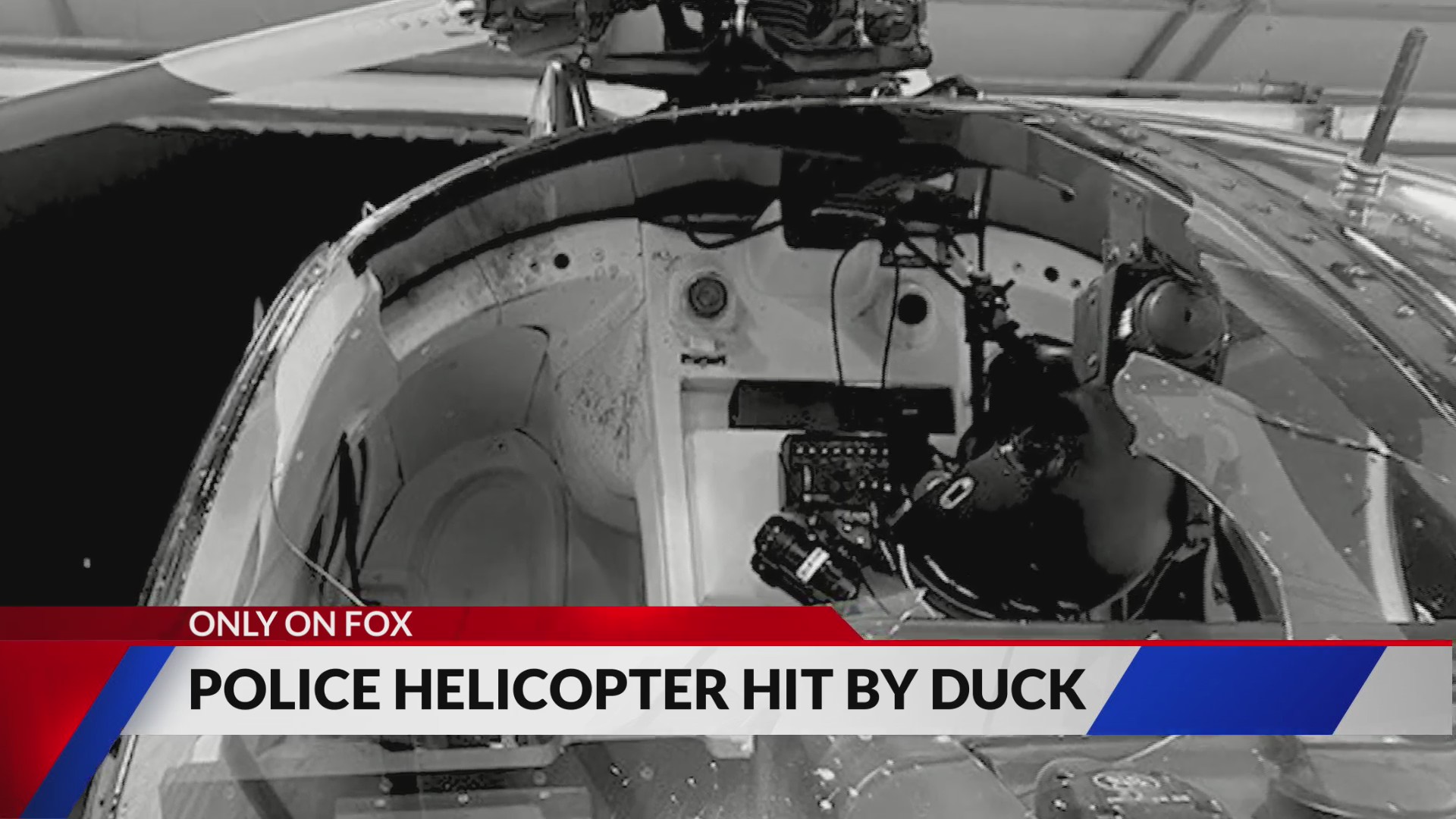 Police helicopter pilots survive duck strike – FOX 2