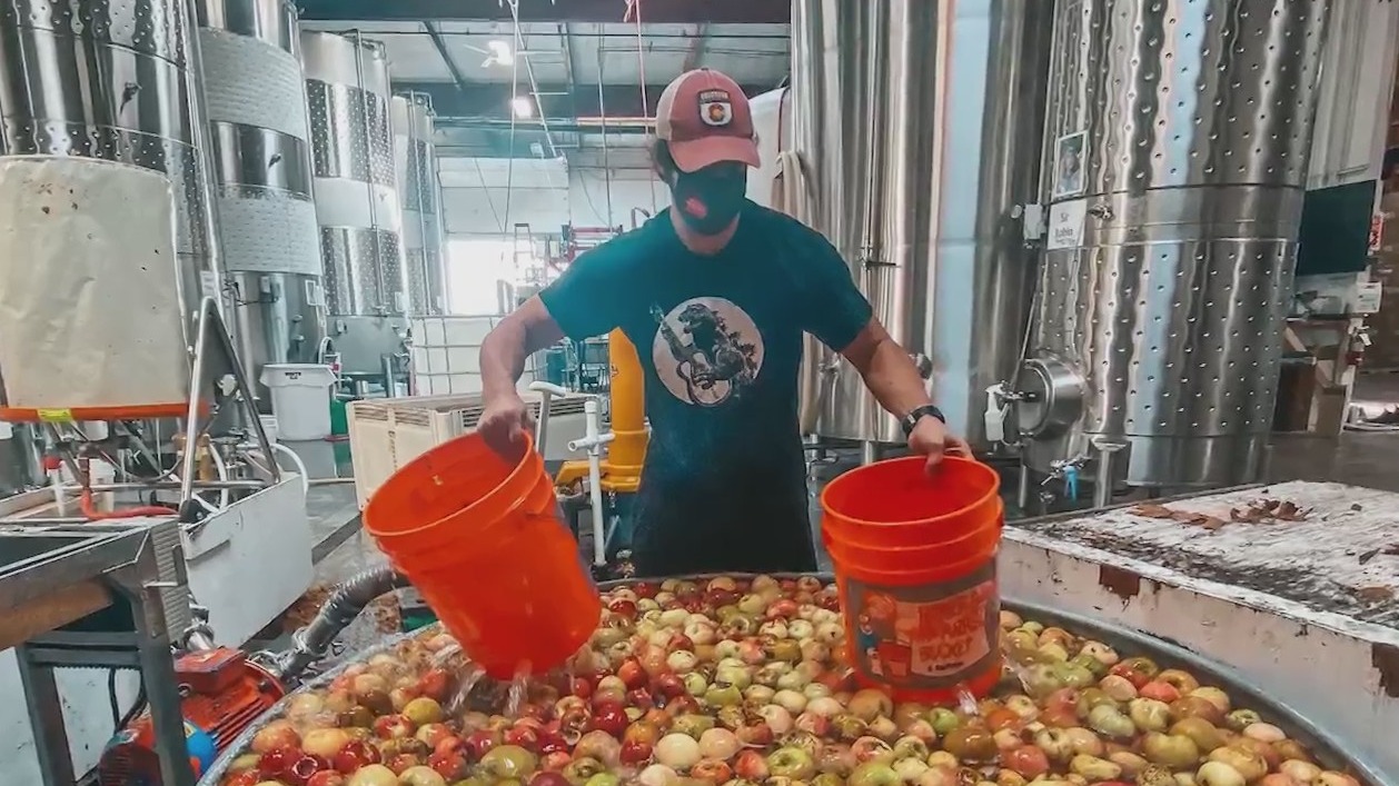 Kohr Explores: Portland Cider Company holds Fruit Forward Drive – KOIN.com