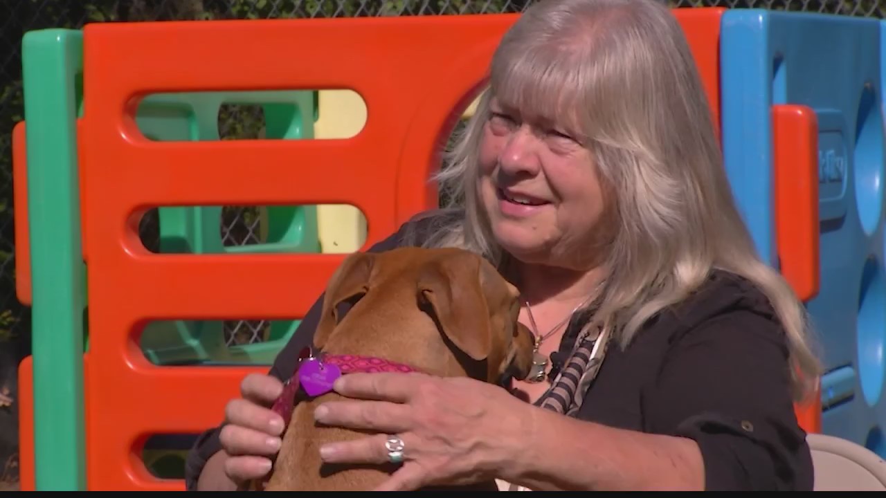 Cydnee Cross, Beloved animal rescue activist dies – NEWS10 ABC