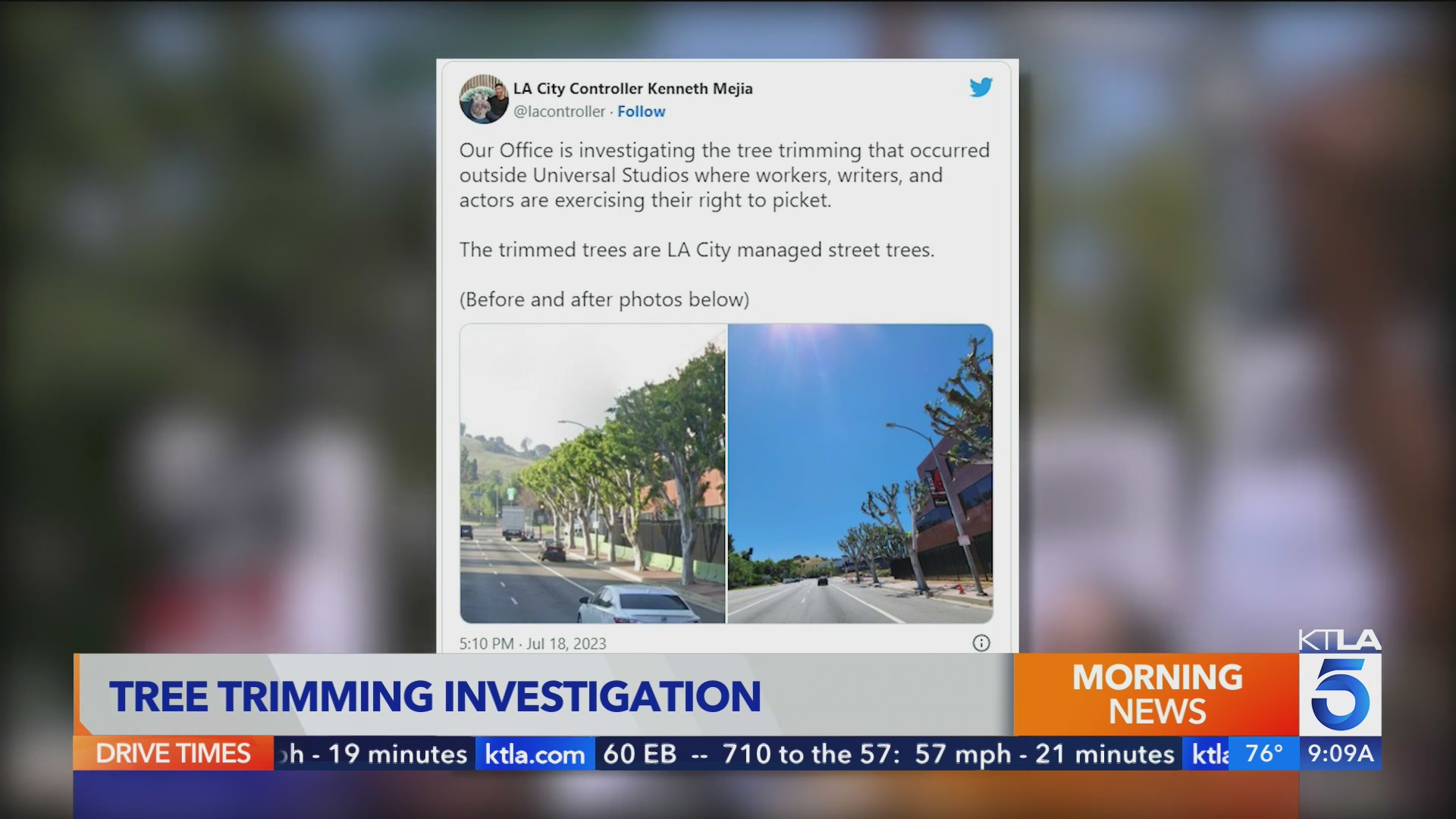 Did Universal Studios trim trees to mess with striking workers? – KTLA