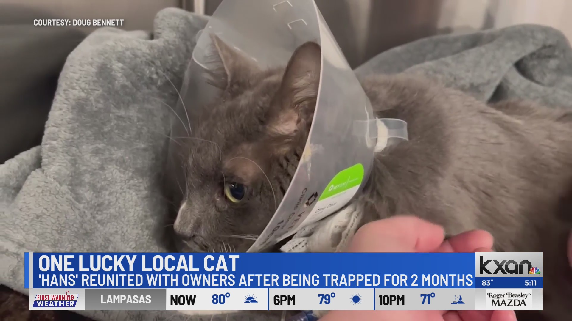 Austin cat on the mend after 2 months trapped in vacant home – KXAN Austin