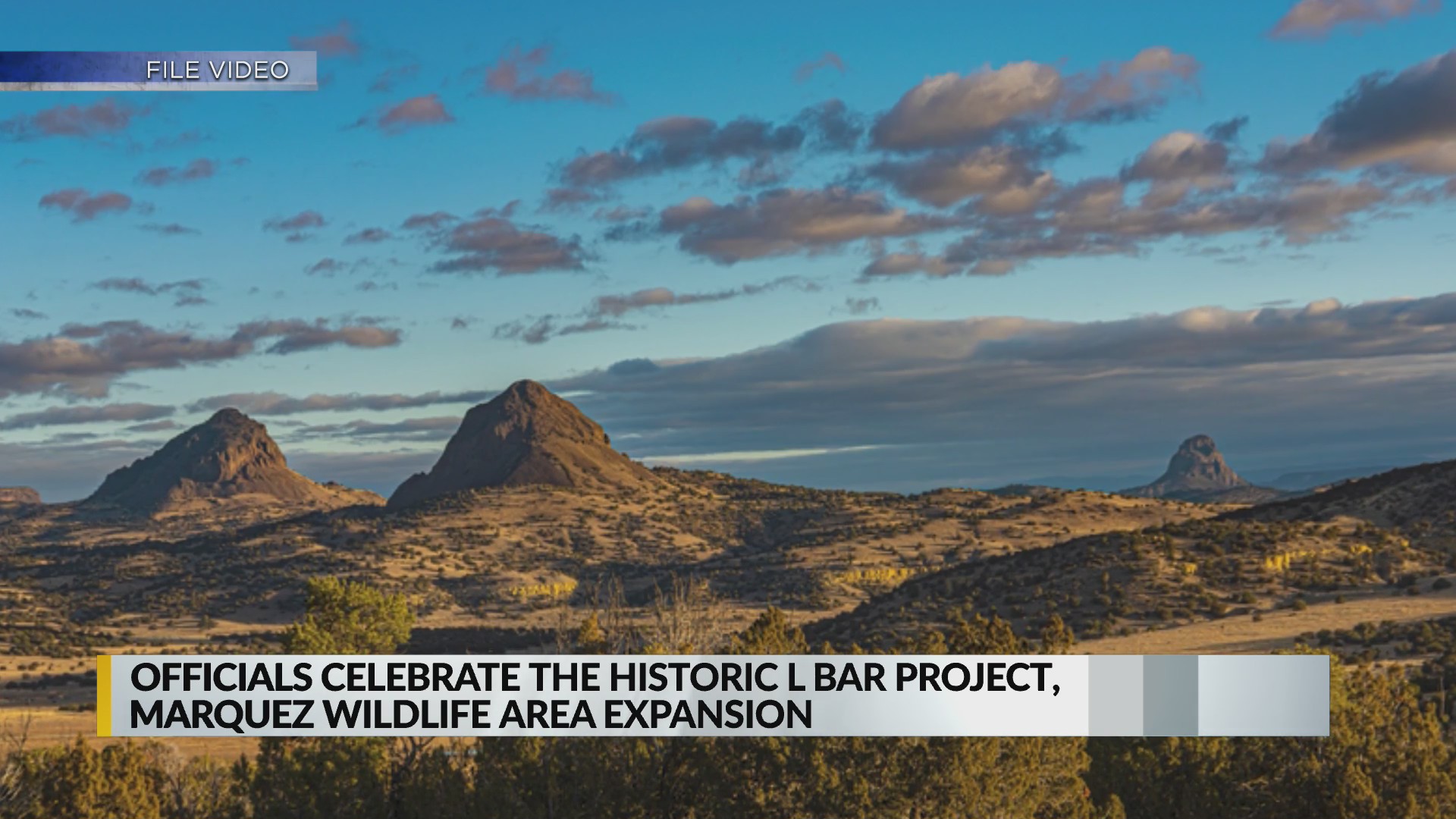 Officials celebrate historic L Bar Project, Marquez wildlife area ...