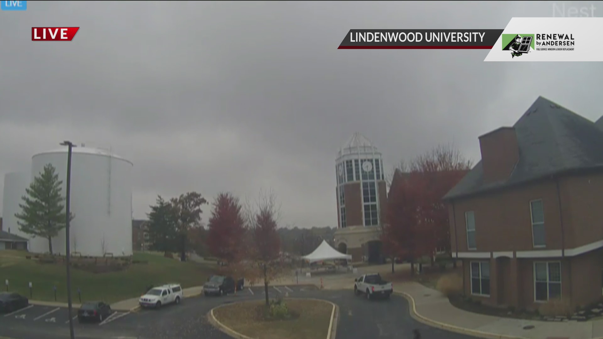 Tim’s Travels: Randy’s Rescue Ranch in need of treats suffering dirty ...