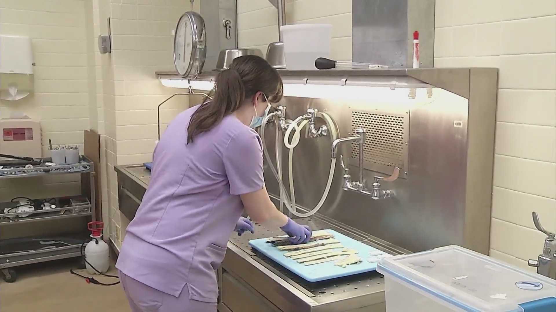 MCG Pathology program helping to address forensic pathologist shortage ...