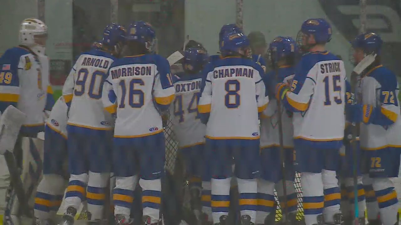 Homestead hockey punches ticket to Class 1A state championship with 7-1 ...