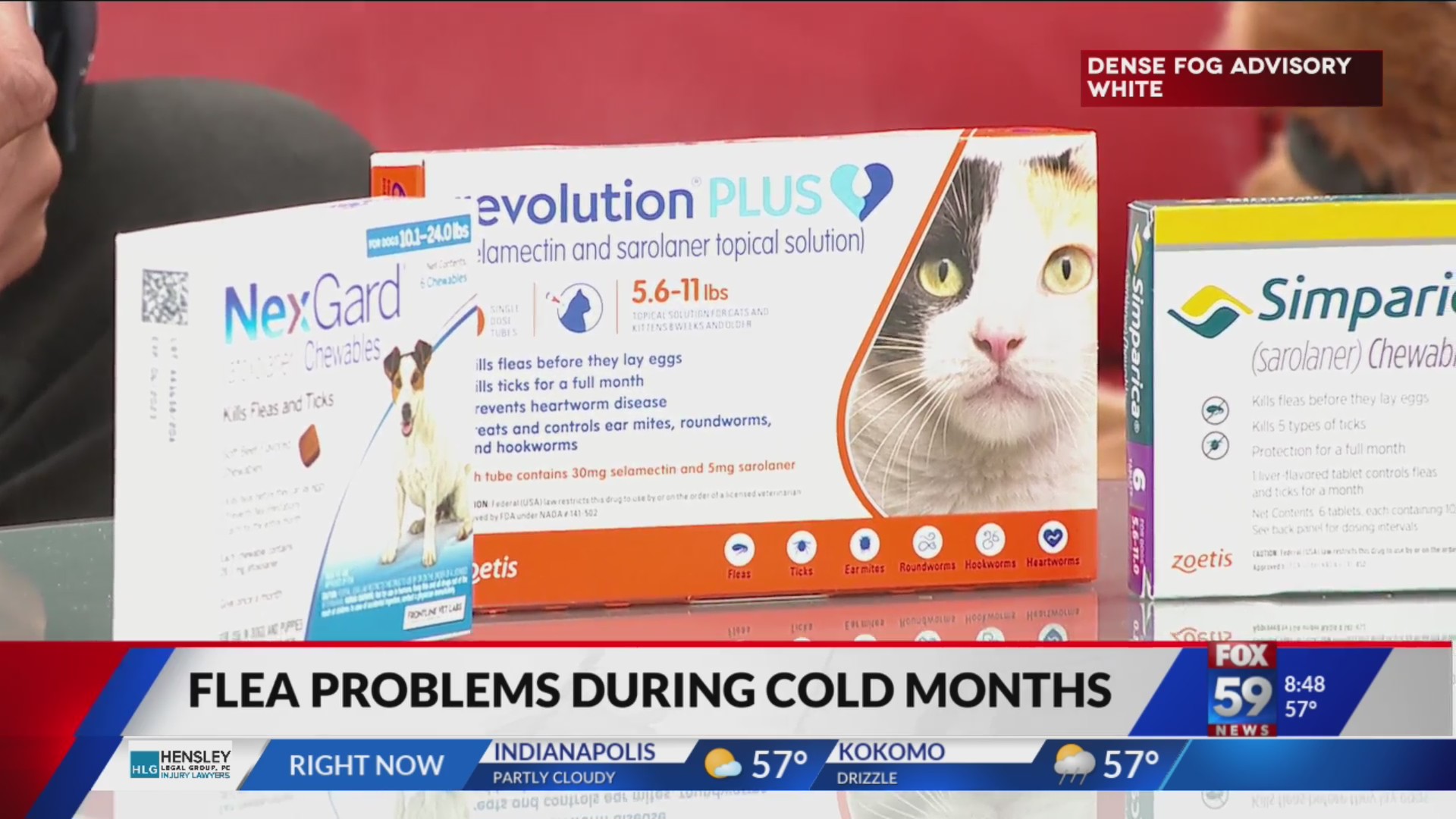 Preventing Flea Problems for Your Pets During Cold Months – Fox 59