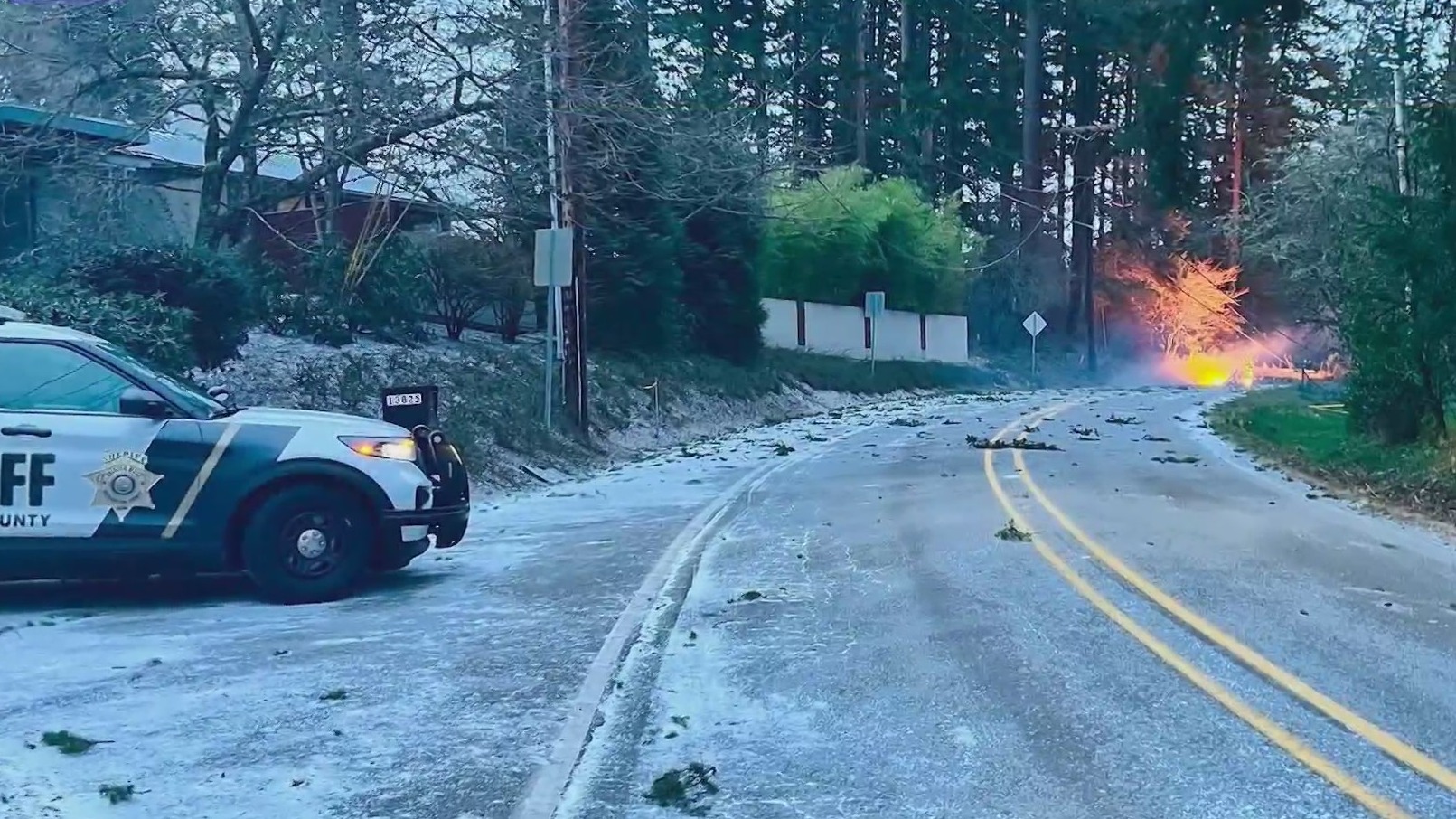Wicked storm knocks over trees throughout region – KOIN.com