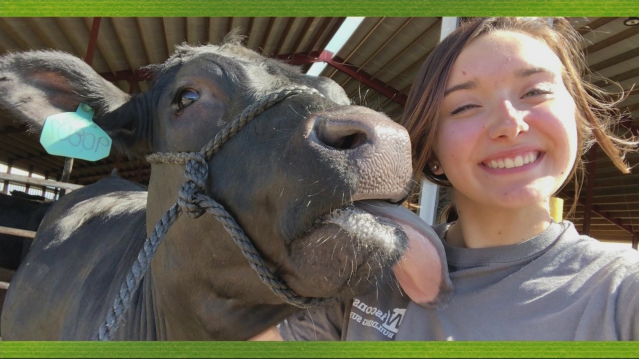 Alice in Dairyland Finalist Kiley Pagel – WFRV Local 5 – Green Bay ...