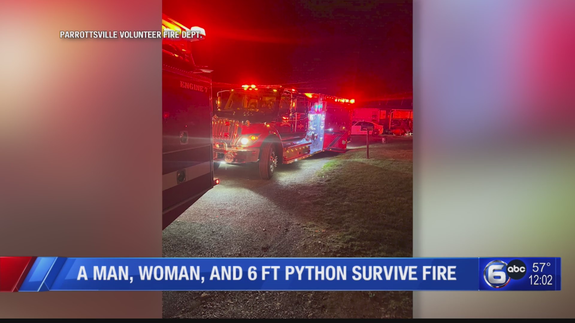 A man, woman and 6ft python survive fire in Cocke County – WATE 6 On ...