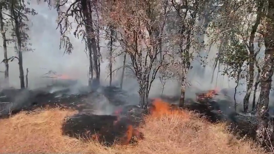 Still Fire destroys homes – FOX40 News