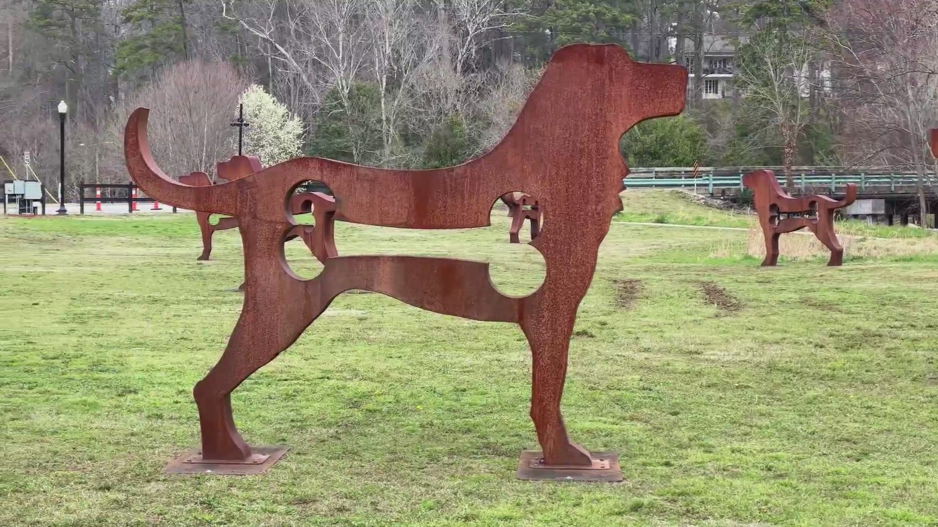 The City of Greenville has Gone to the Dogs with “The Big Dog Show ...