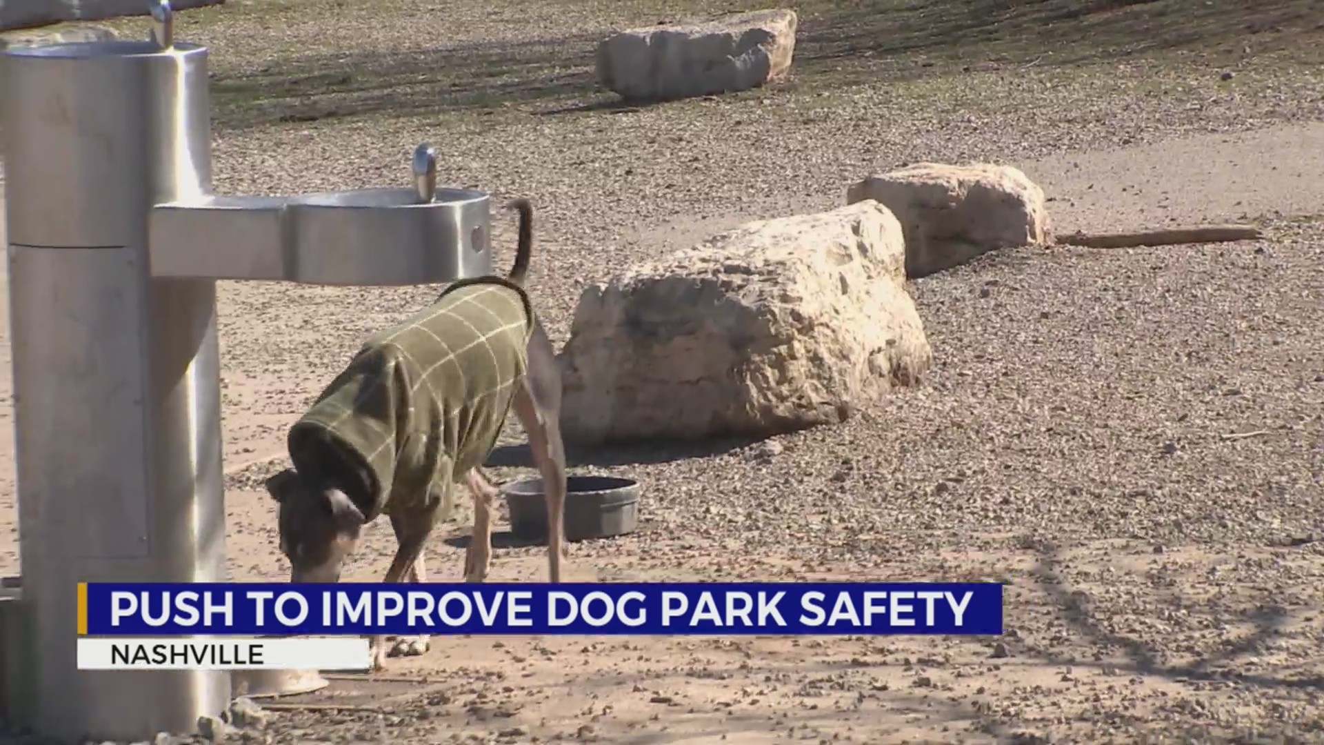 Push to improve dog park safety – WKRN News 2
