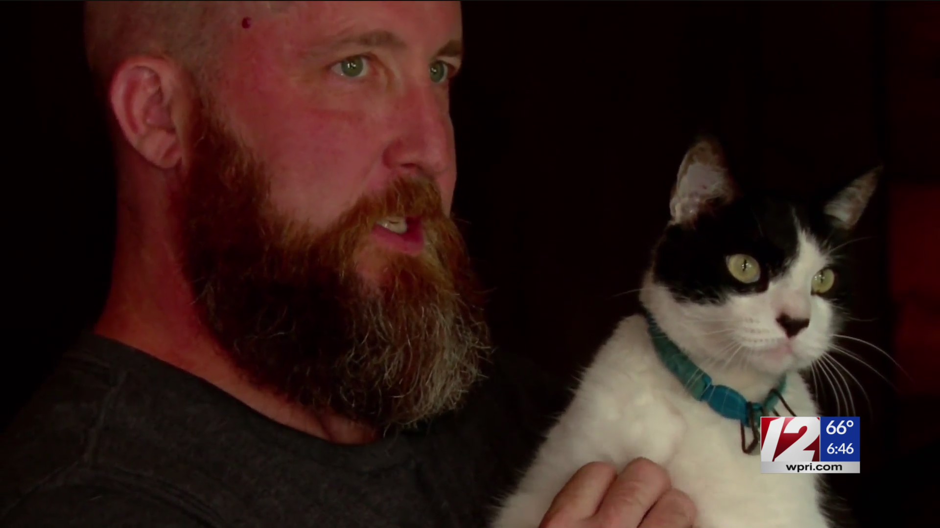 Norton brewery adopts cat to keep mice away – WPRI.com