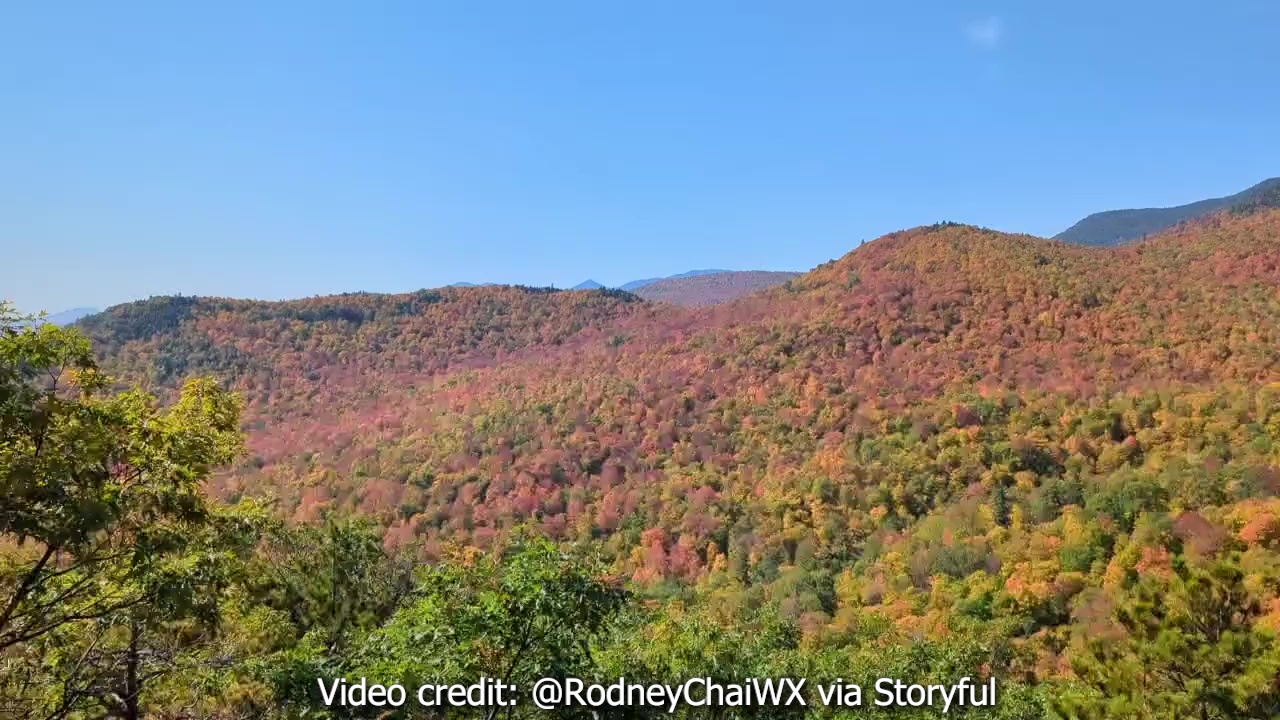 Fall Colors, Timing of Changing Autumn Leaves – FOX31 Denver