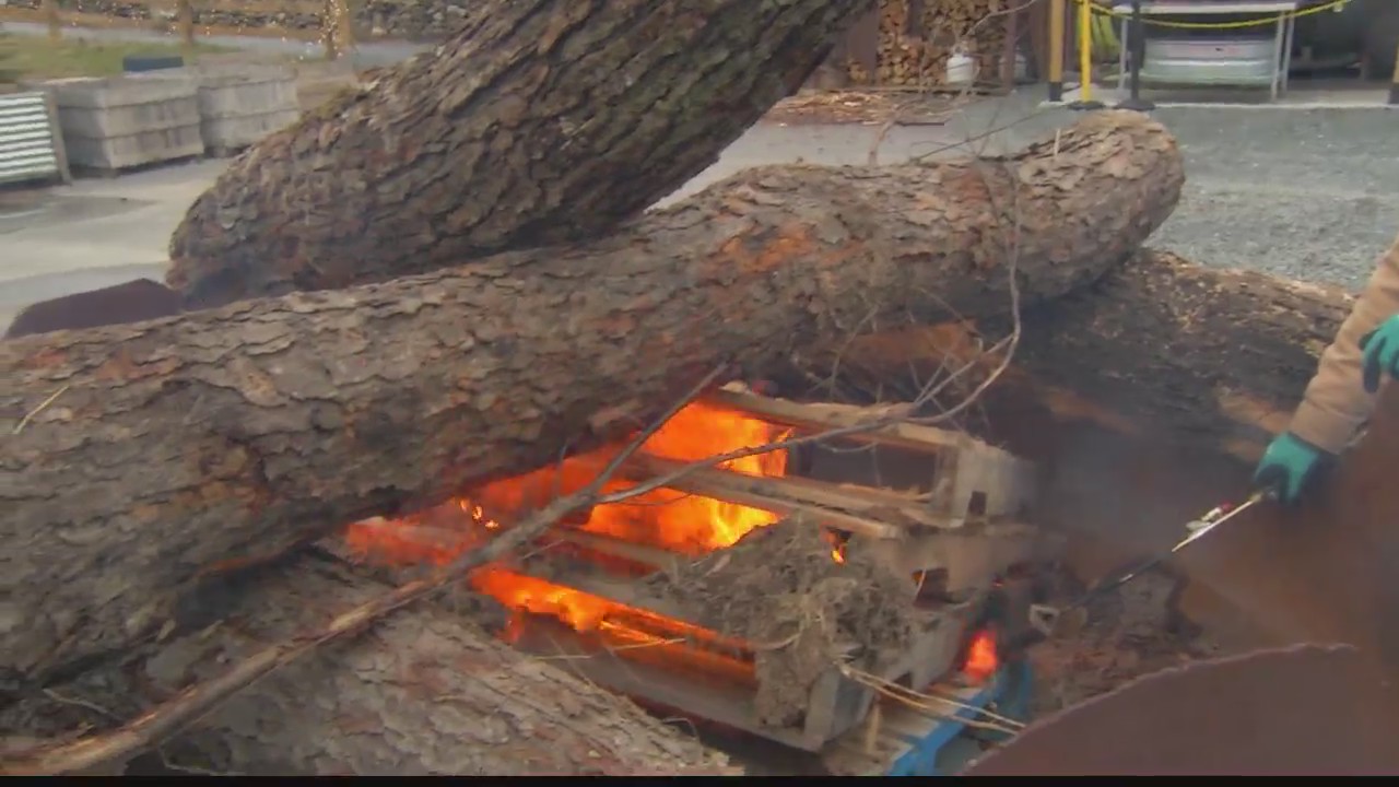 Celebrating the New Year with a bonfire at Indian Ladder Farm – NEWS10 ABC