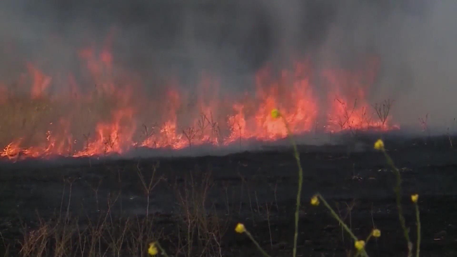 Cal Fire fighting fires with AI – YourCentralValley.com | CBS47 and KSEE24