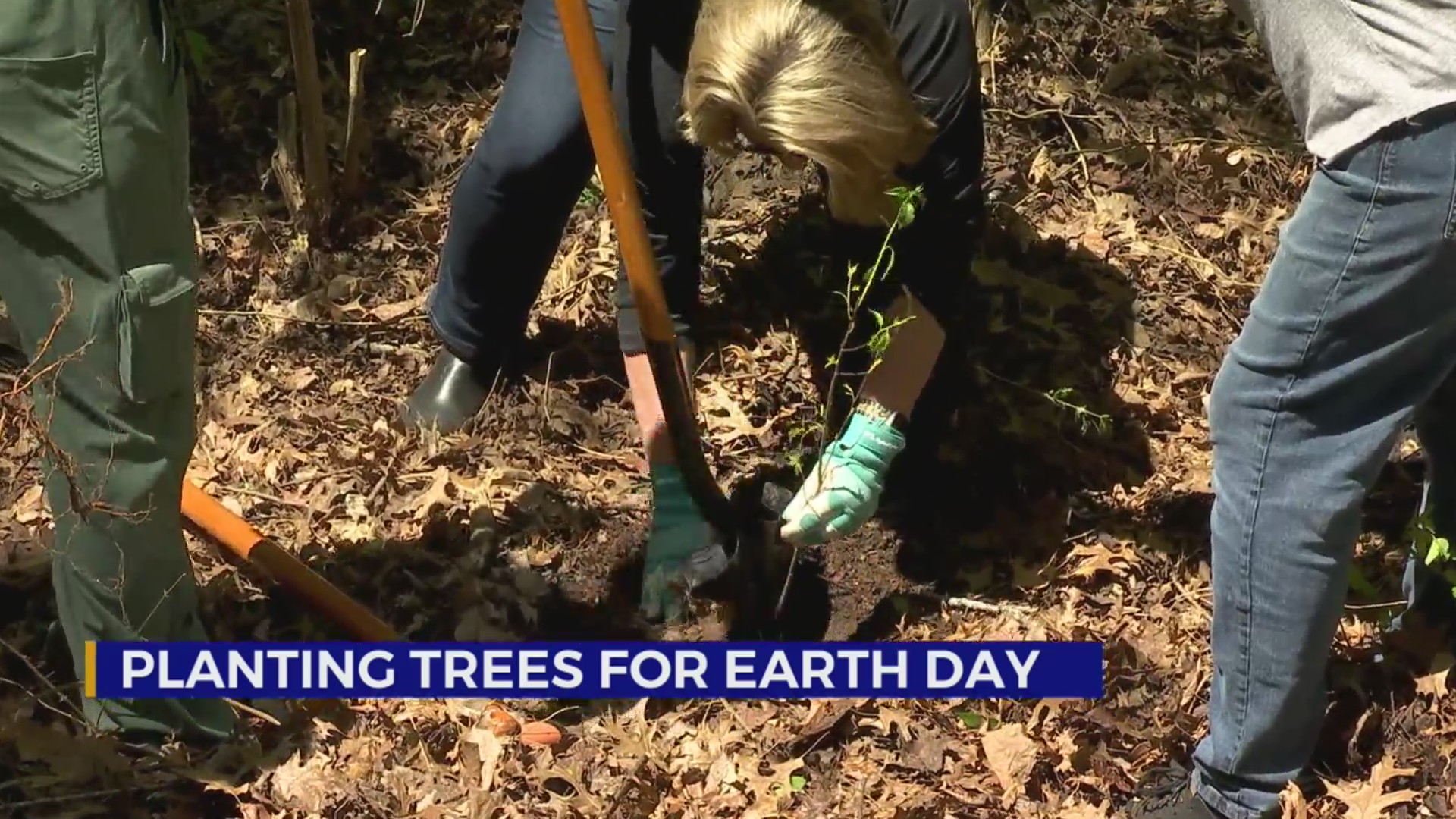 Planting trees for Earth Day – WKRN News 2