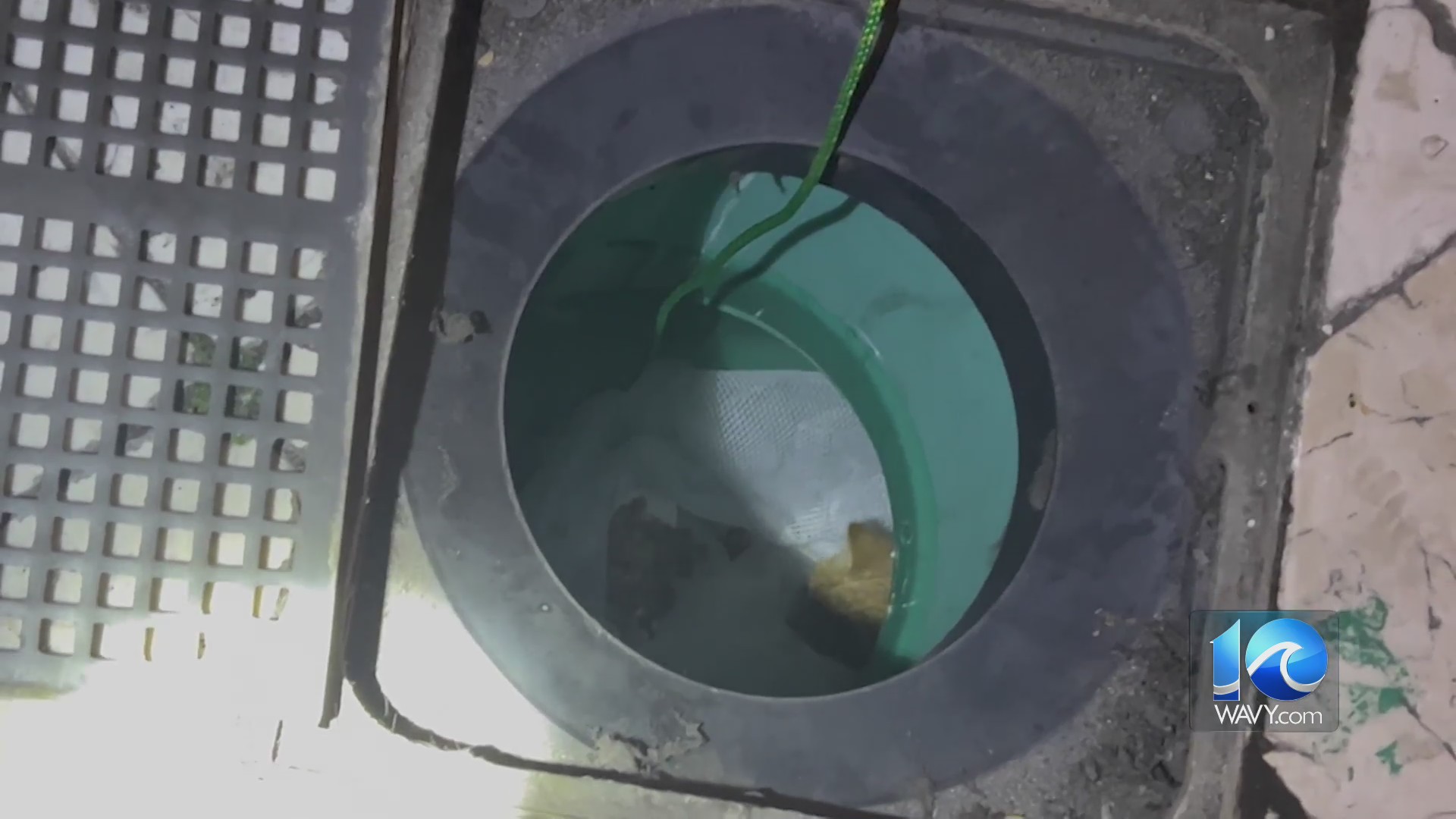 Rescue mission to get kitten out of Town Center drain – WAVY.com