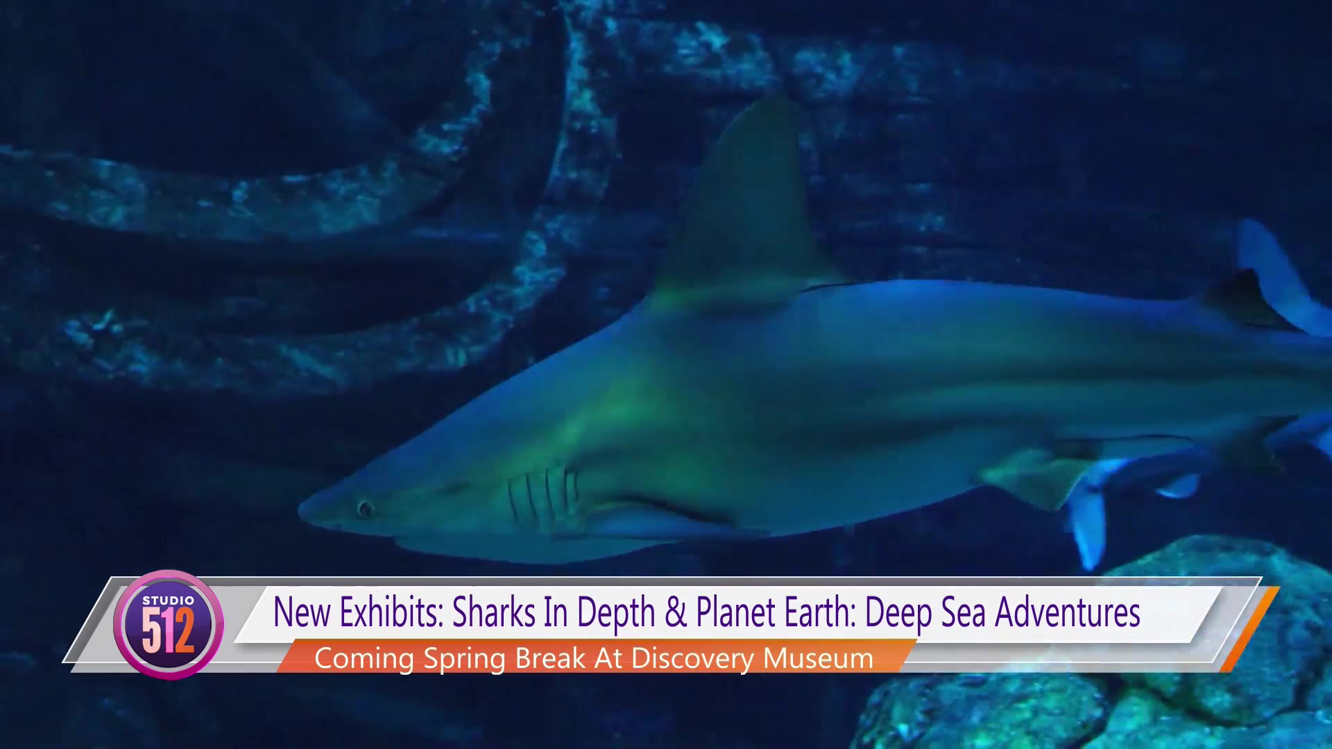 Spring Break Brings Sharks, Secrets Of The Sea 3D, Premiere Golf, And ...