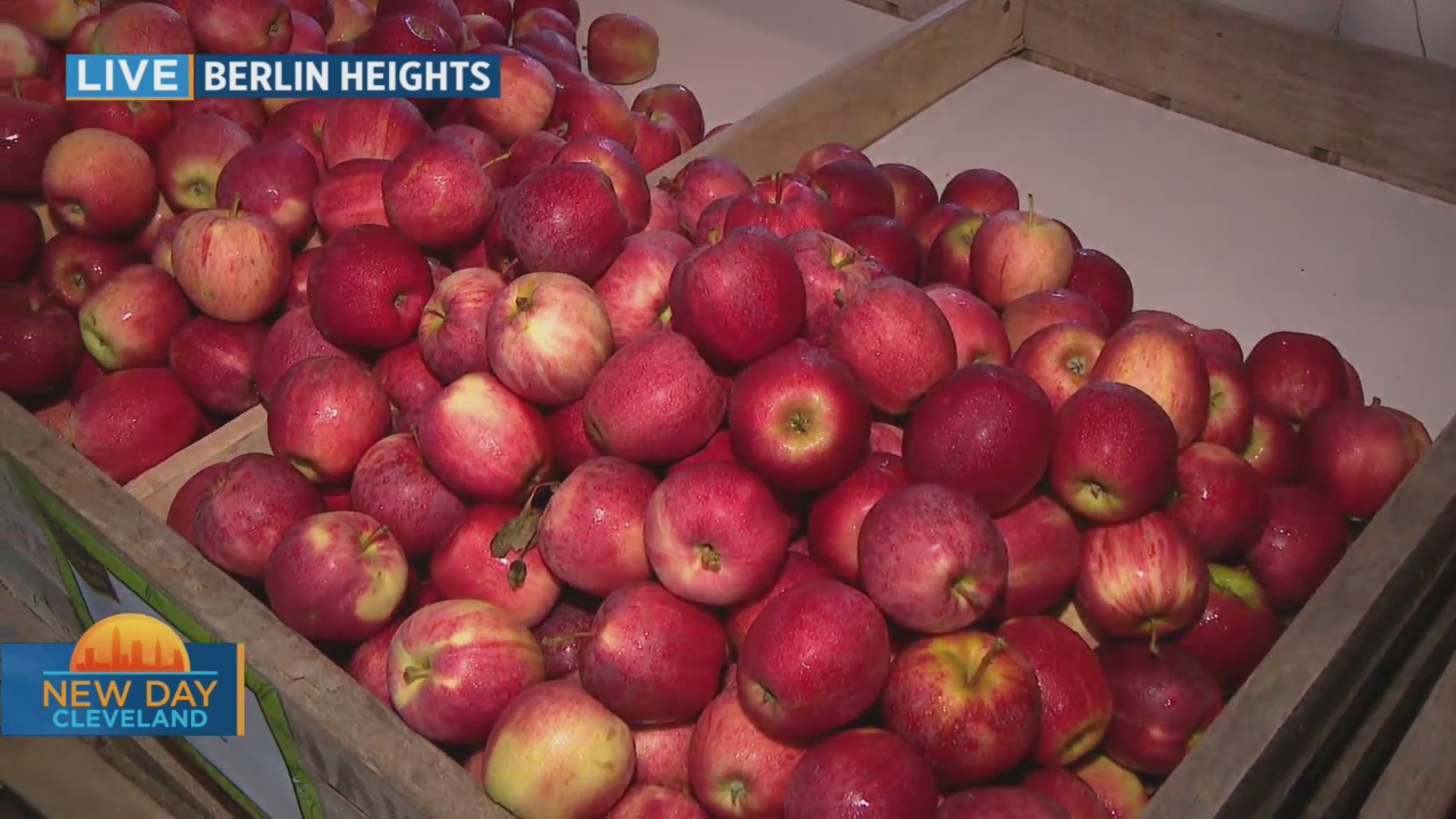 New Day Cleveland: Quarry Hill Orchards – Fox 8 Cleveland WJW