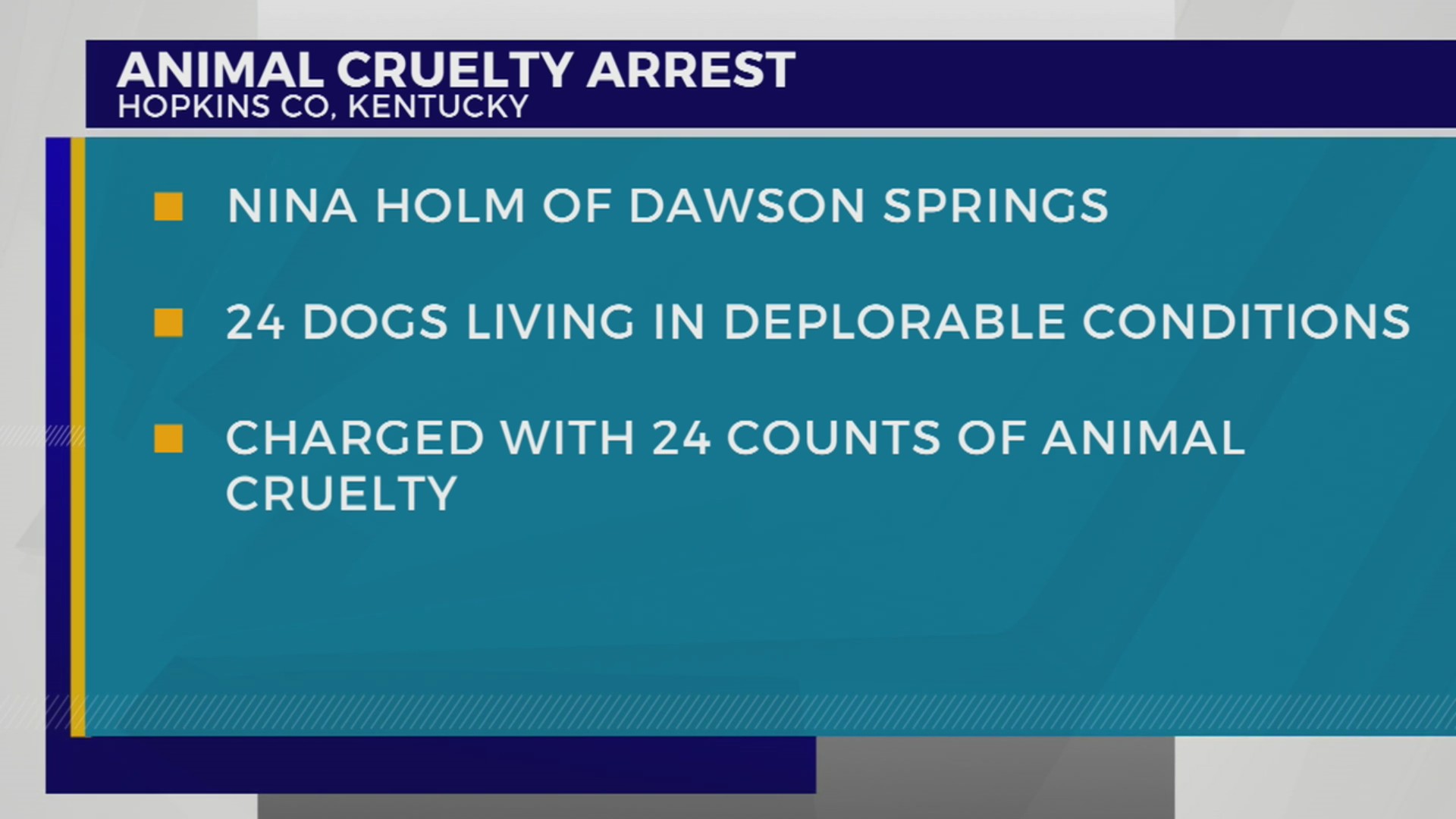 24 dogs surrendered following Kentucky animal cruelty investigation ...