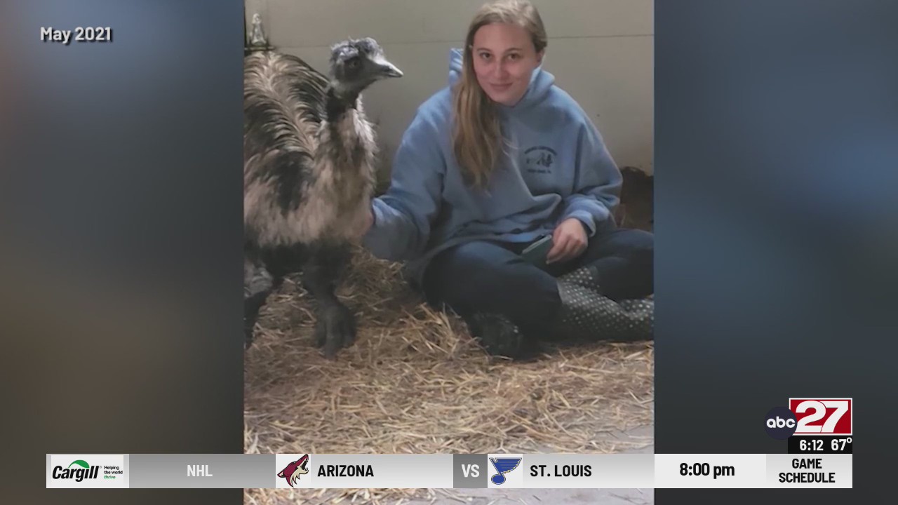 Perry County emu ‘living his best life’ while his person prepares for ...