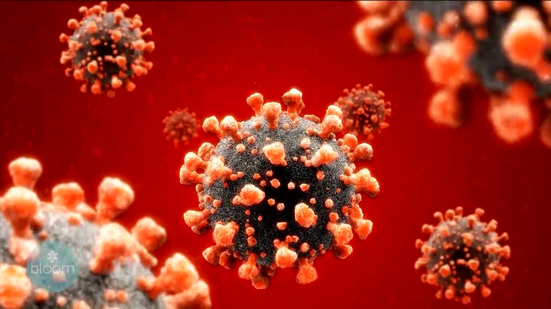 Effects of the pandemic on mental health – WFLA