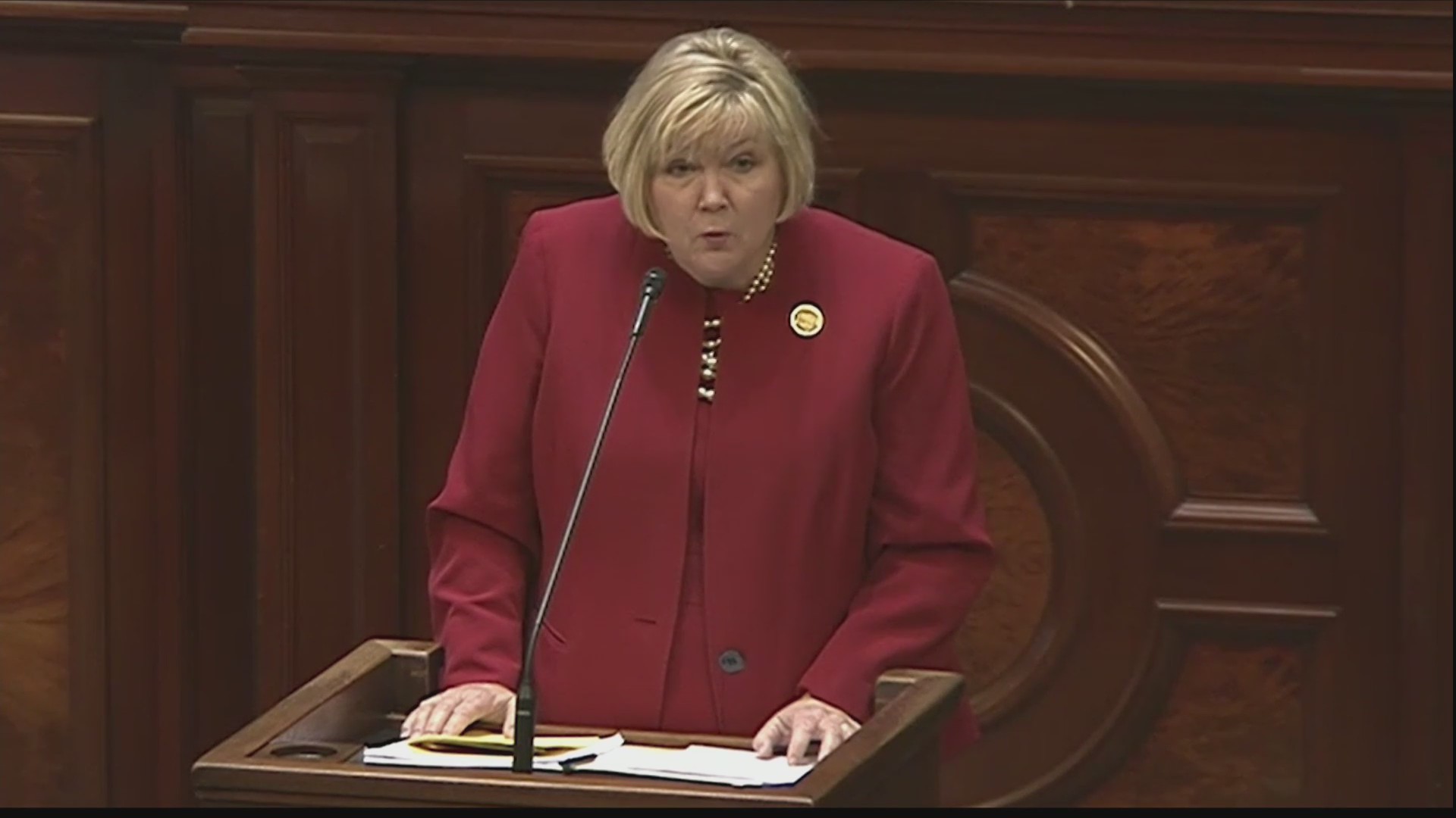 SC House pushes ahead with new voucher program bill – WSAV-TV
