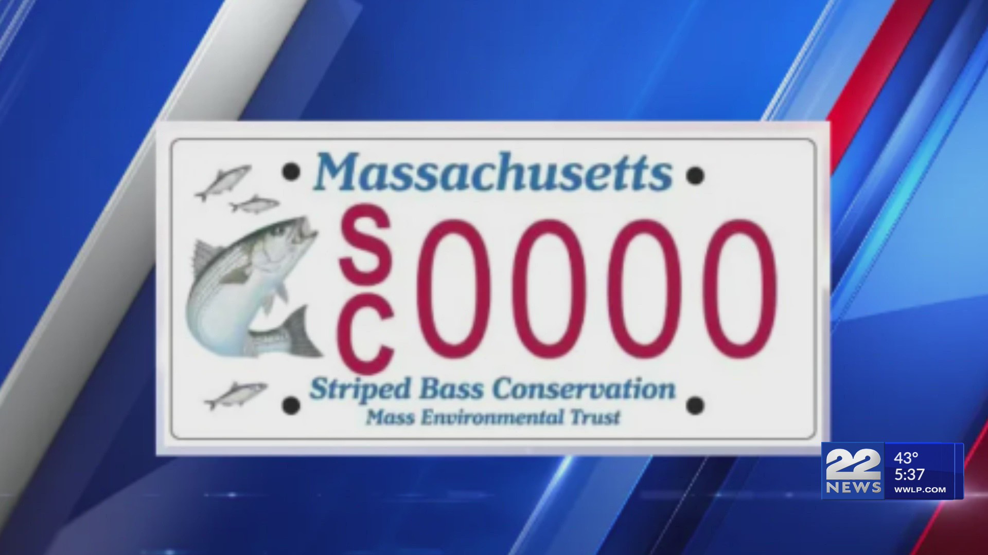 Massachusetts Striped Bass license plates now available – WWLP
