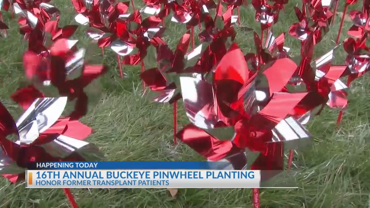 Organ transplant recipients and donors reunite at Ohio State hospital ...