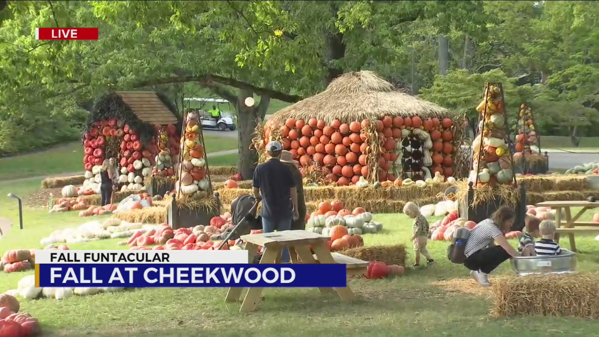 Fall Funtacular: Cheekwood Harvest 2022 – WKRN News 2