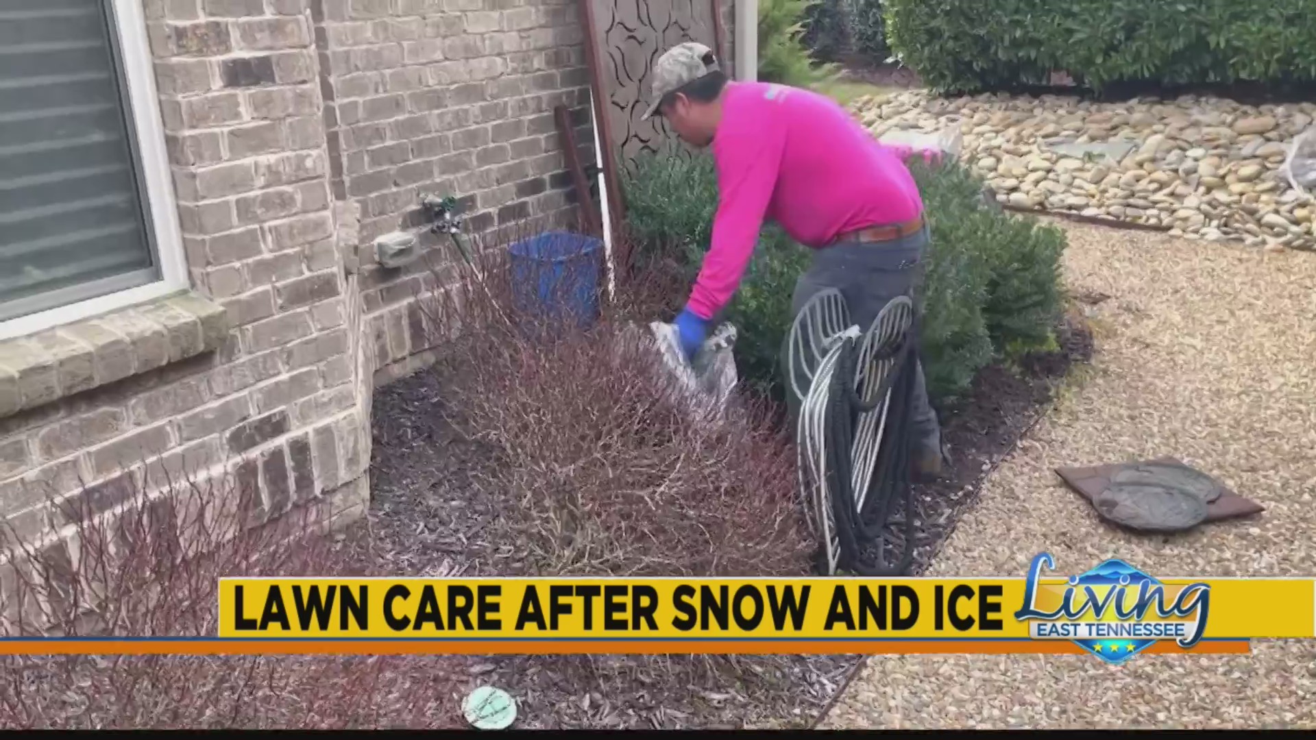 Lawn Care after Snow and Ice – WATE 6 On Your Side