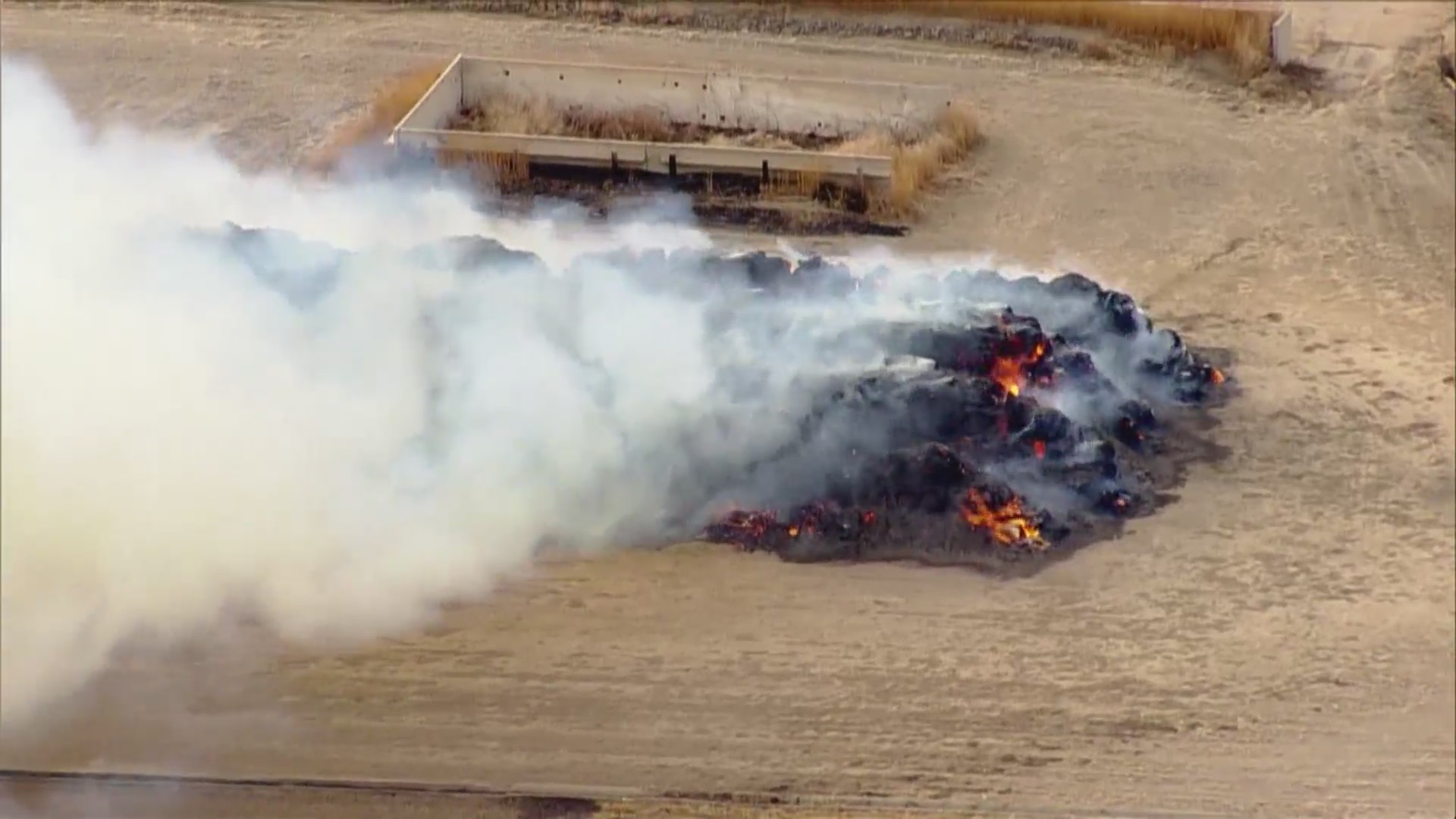 Wind fuels large feed fire near Mead – FOX31 Denver