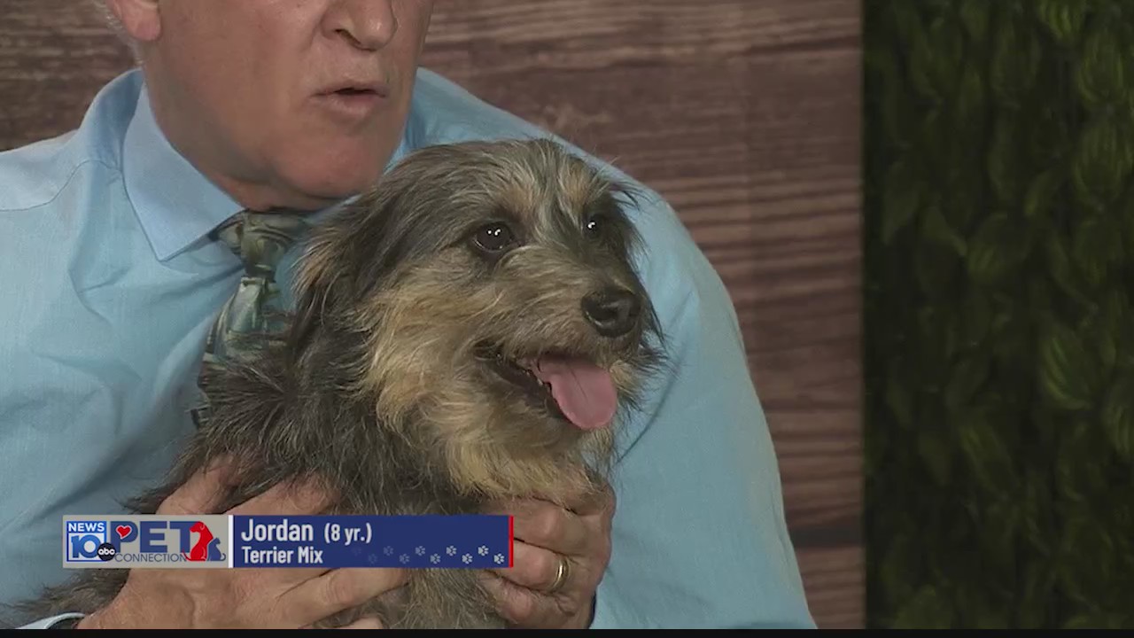 Jordan – NEWS10 ABC