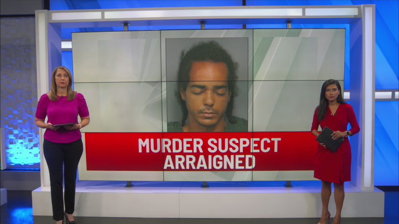 Rotterdam murder suspect pleads not guilty to killing parents – NEWS10 ABC